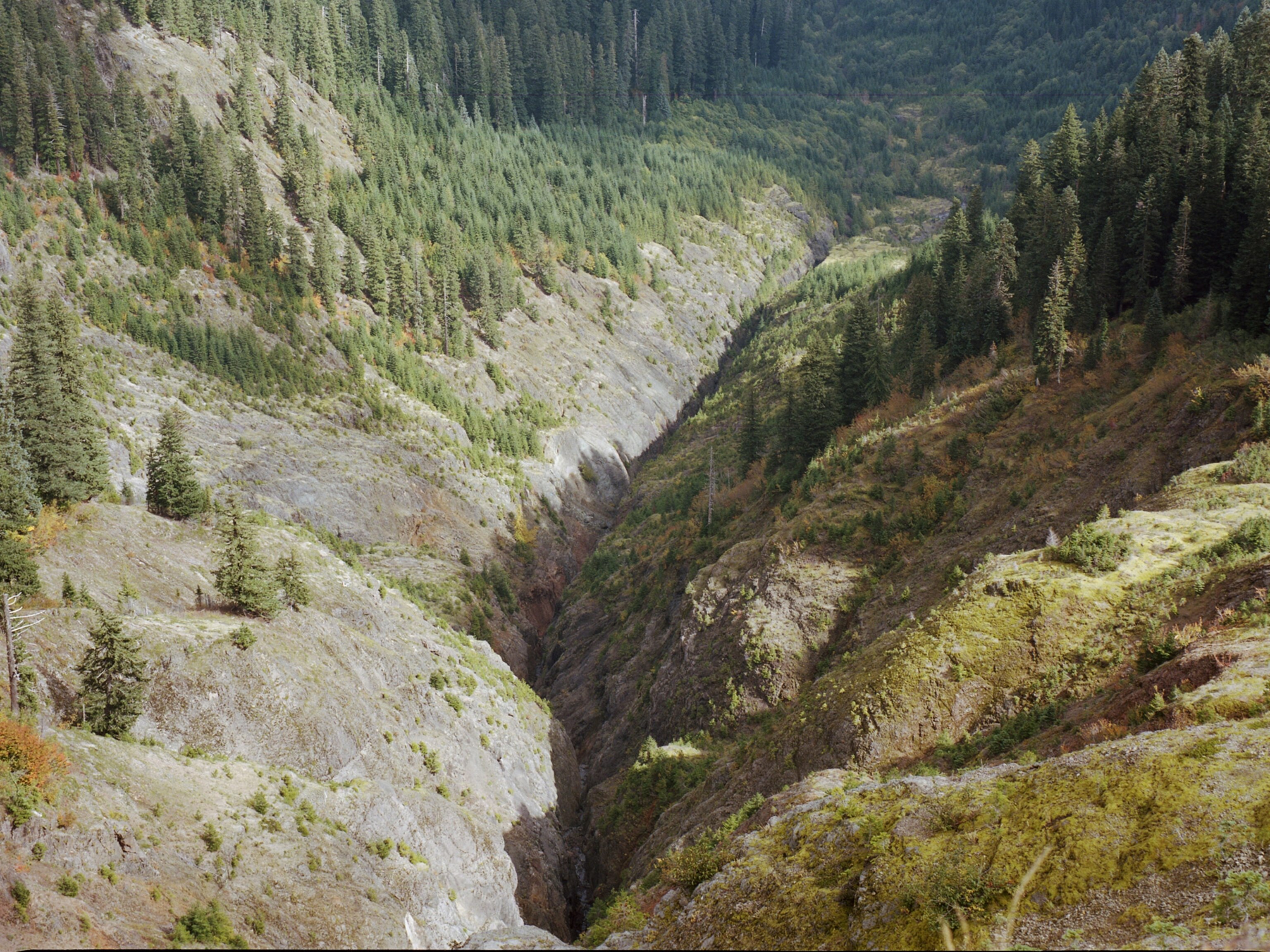 Follow Bigfoot’s mythical steps to discover wild America