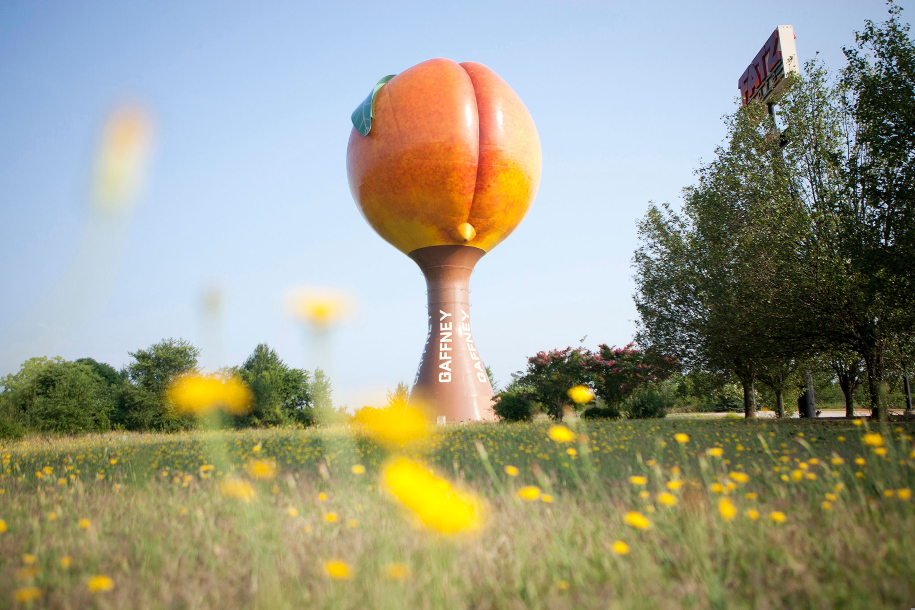 The world's largest pistachio and other giant food
