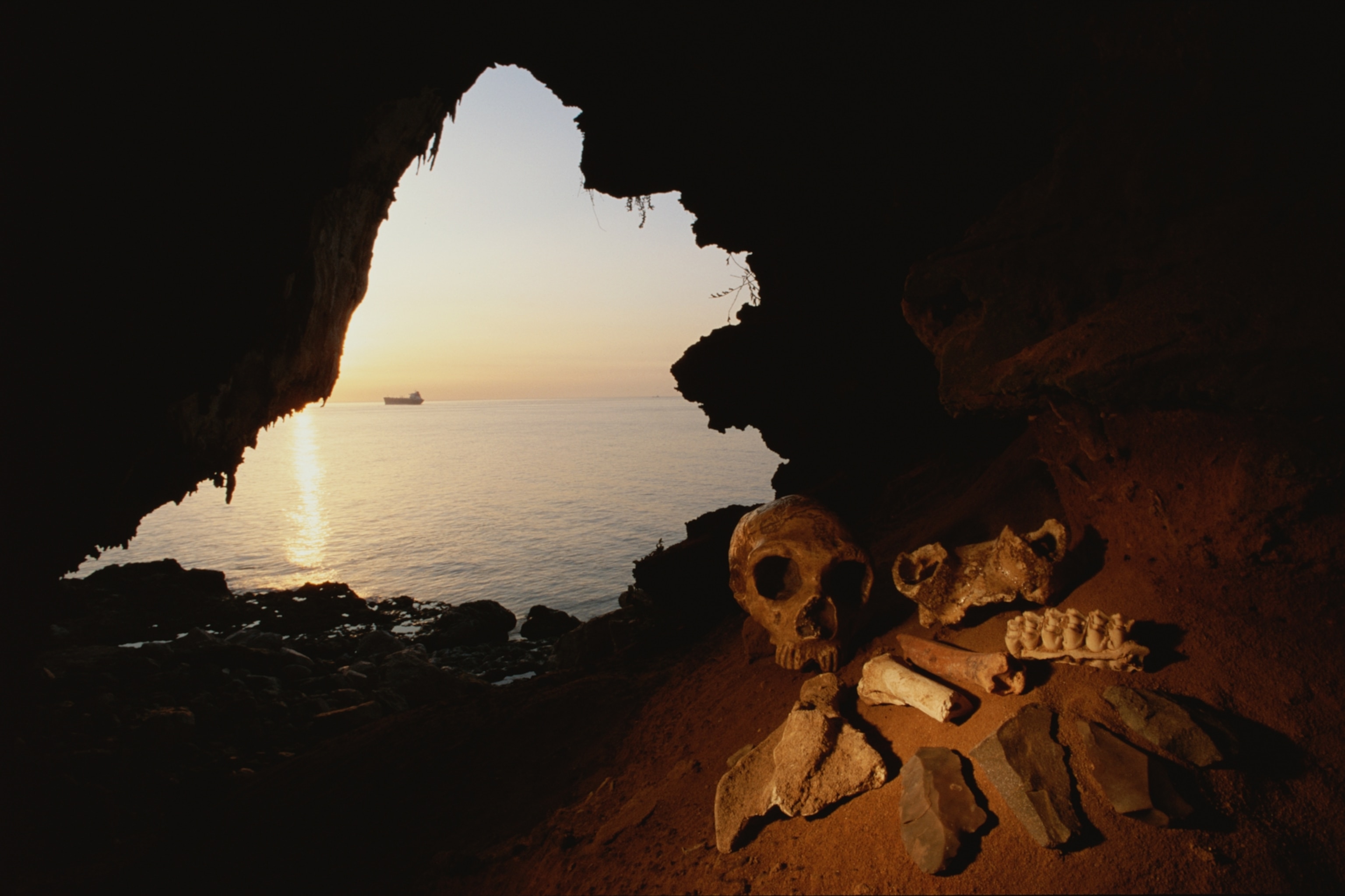 Who were the Neanderthals—and why did they go extinct?