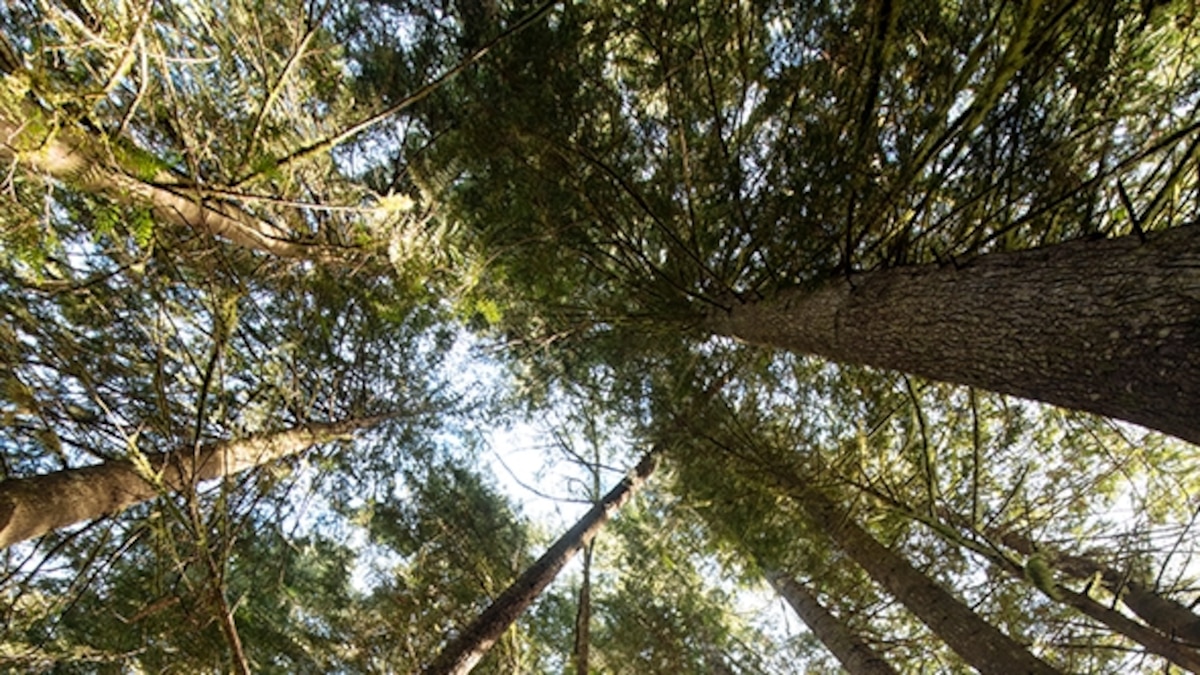 Exploring the Cold Coast: The Beauty of Bellingham – Dispatch #4 ...