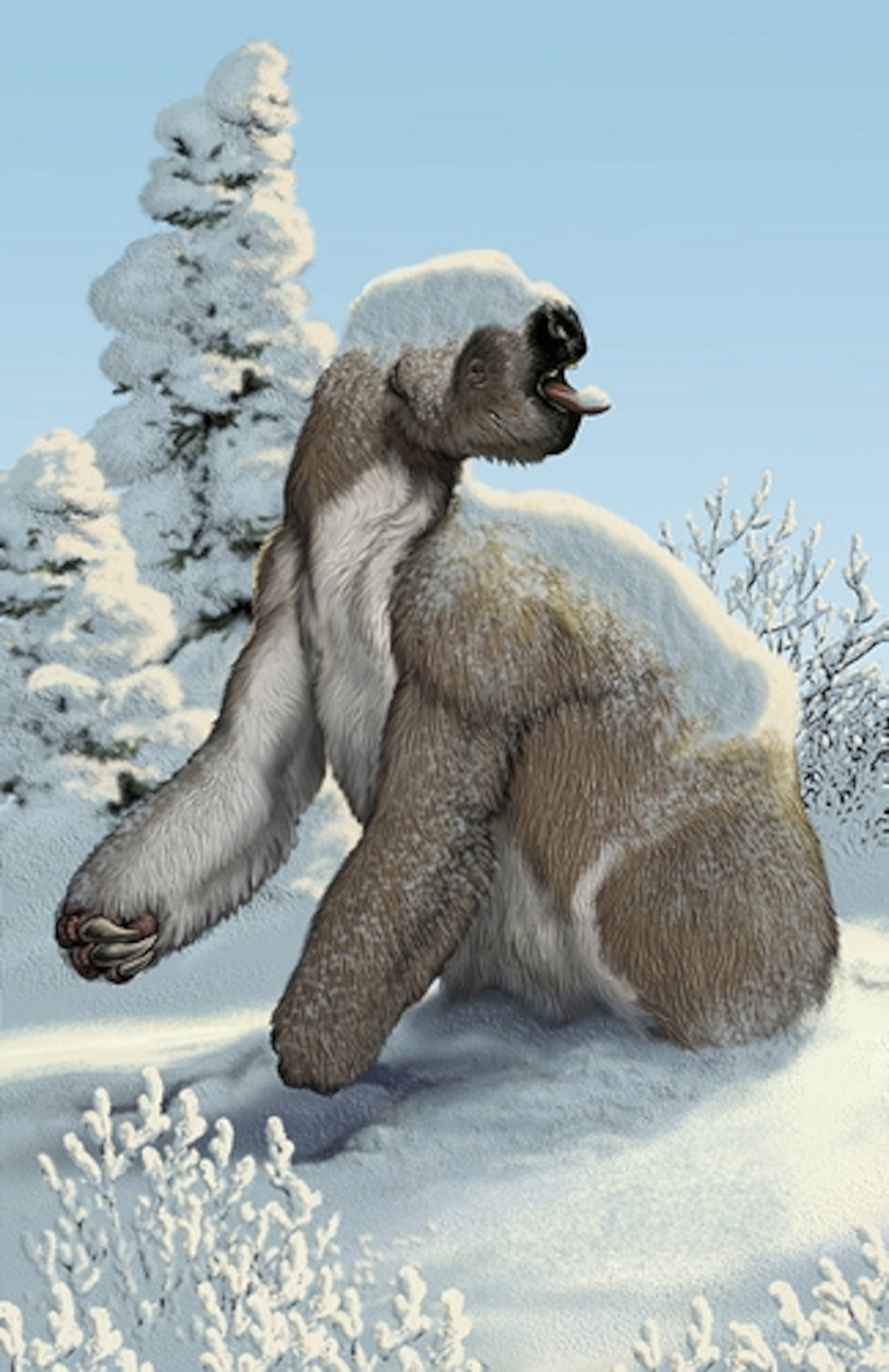 Happy Slothy Holidays