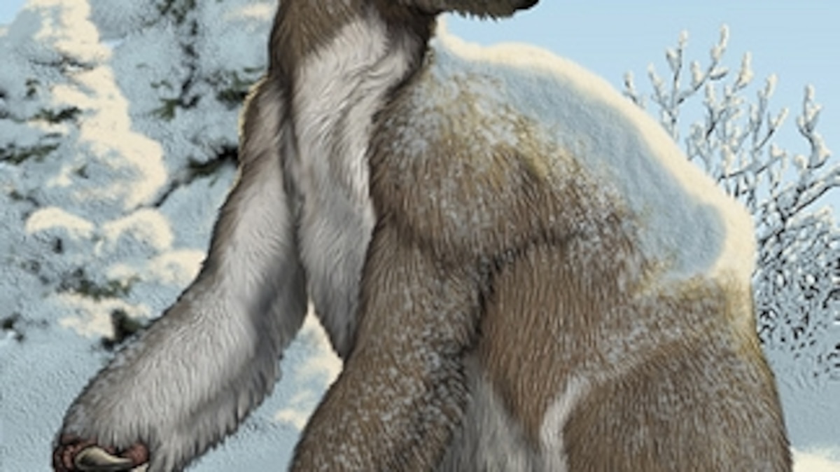 Happy Slothy Holidays