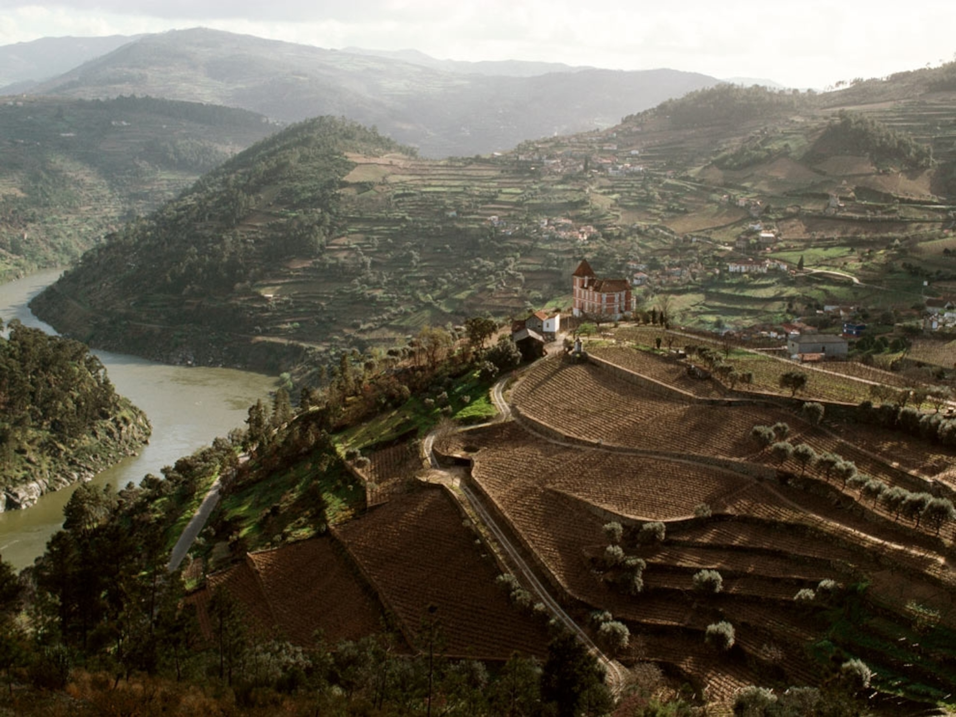 Vineyard Photos -- National Geographic