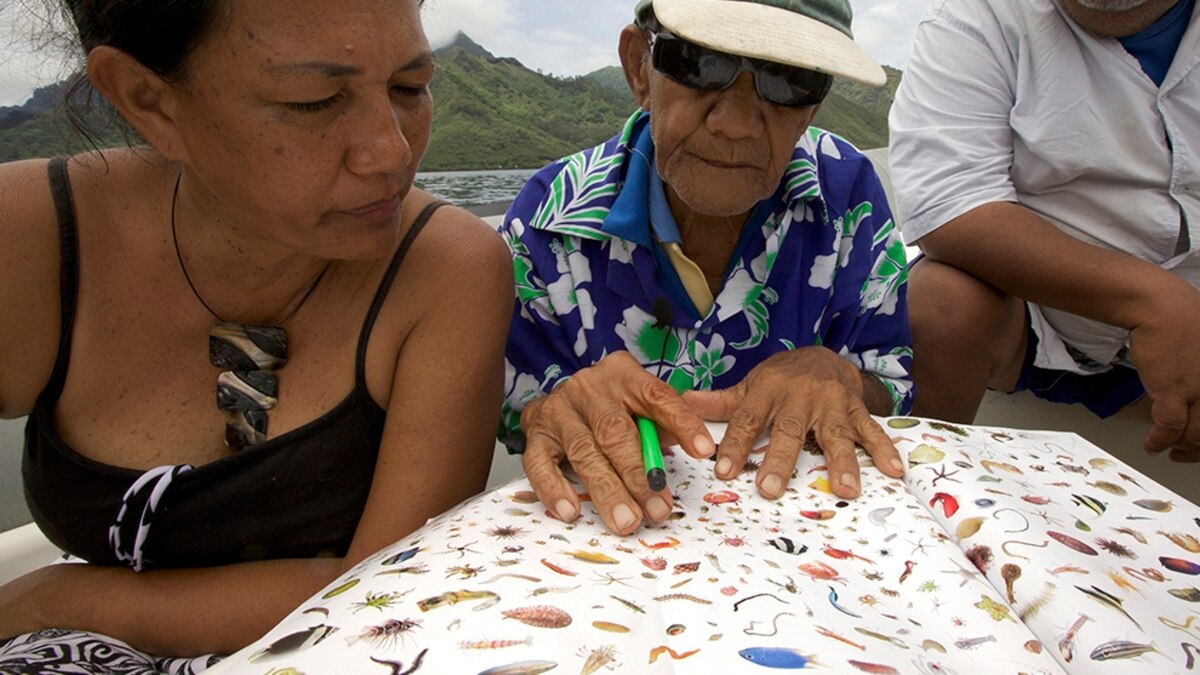 Bridging Western Science and Polynesian Tradition | National Geographic