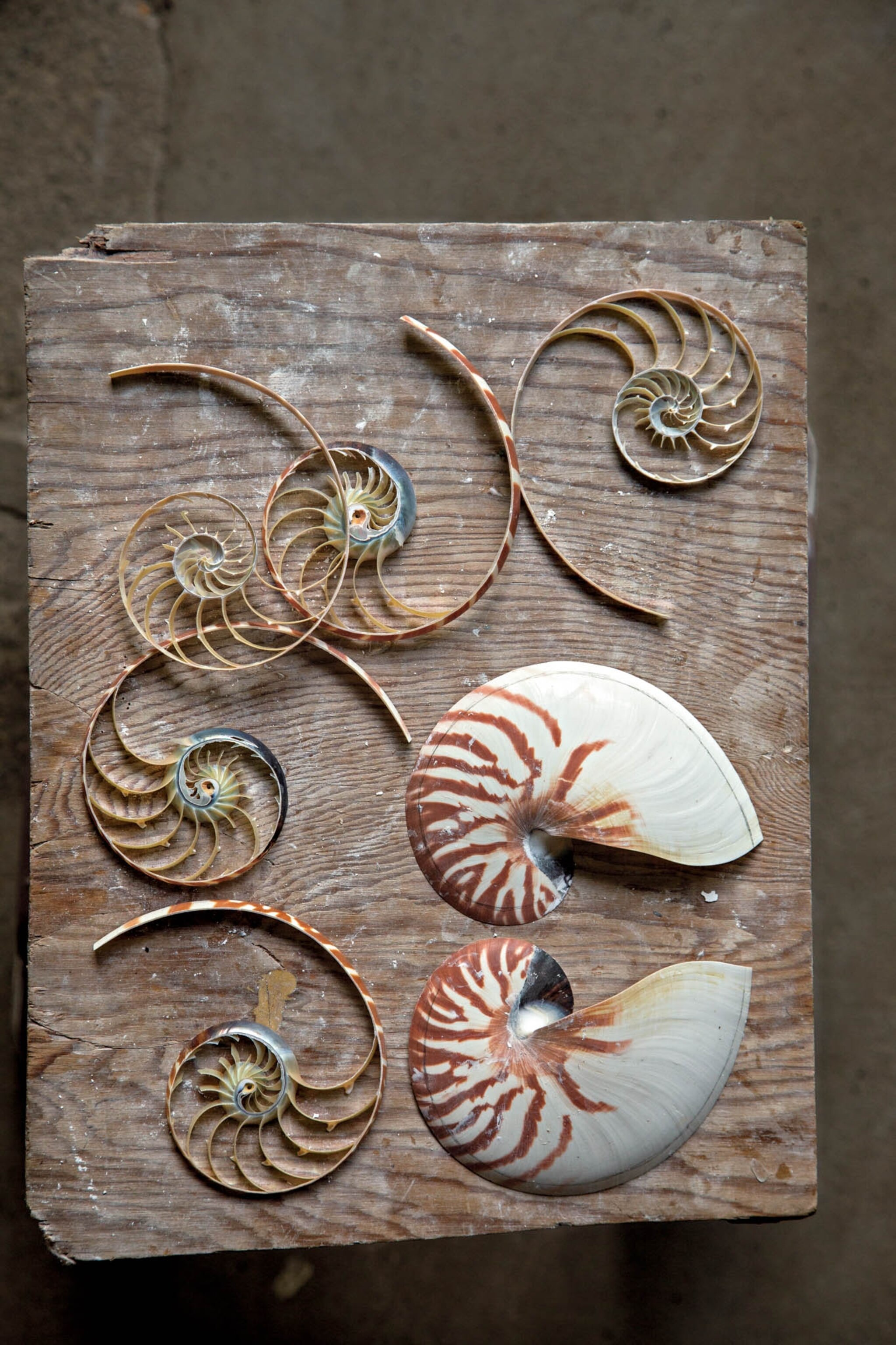 What to do in French Polynesia