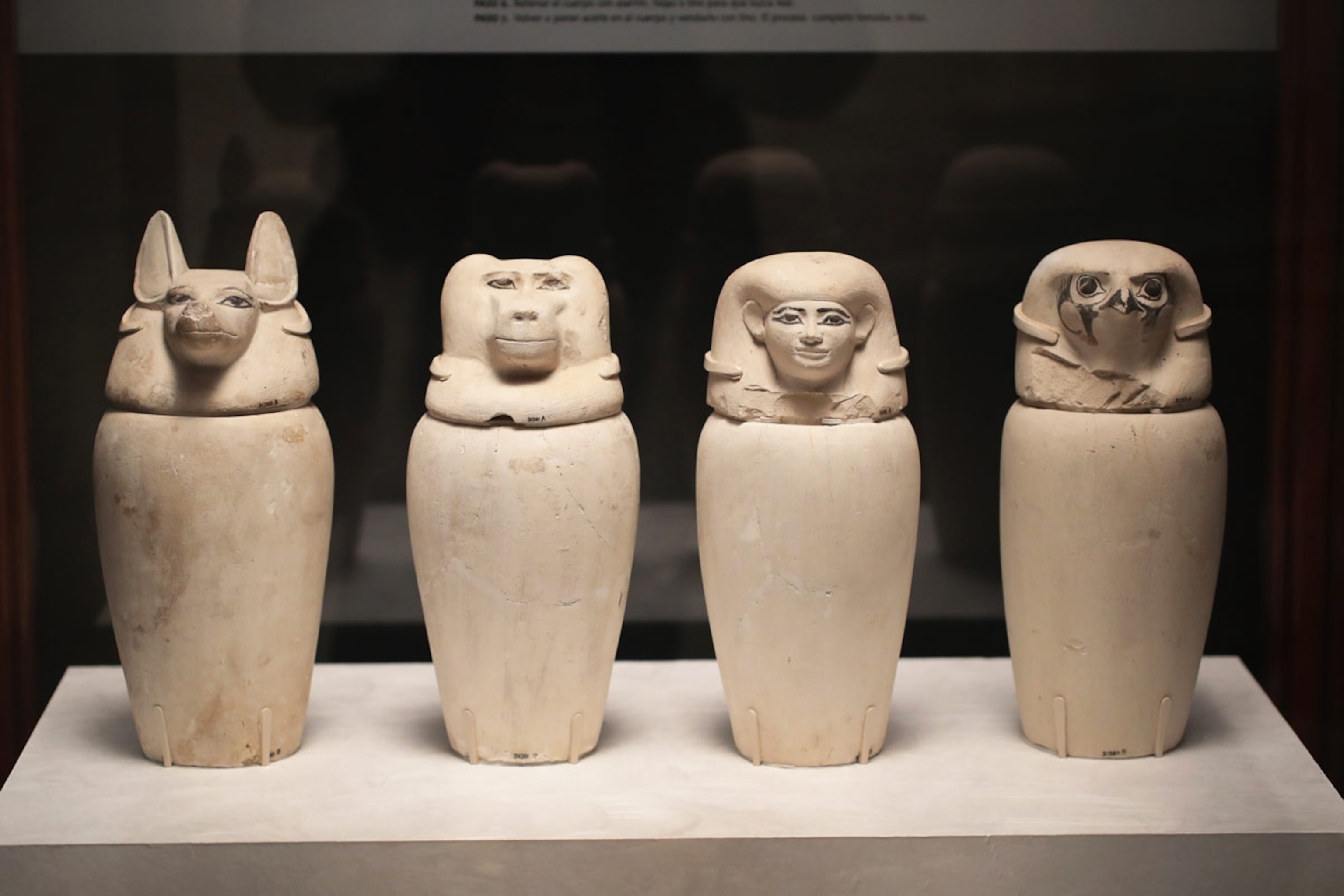 10 mummy facts to wow your kids