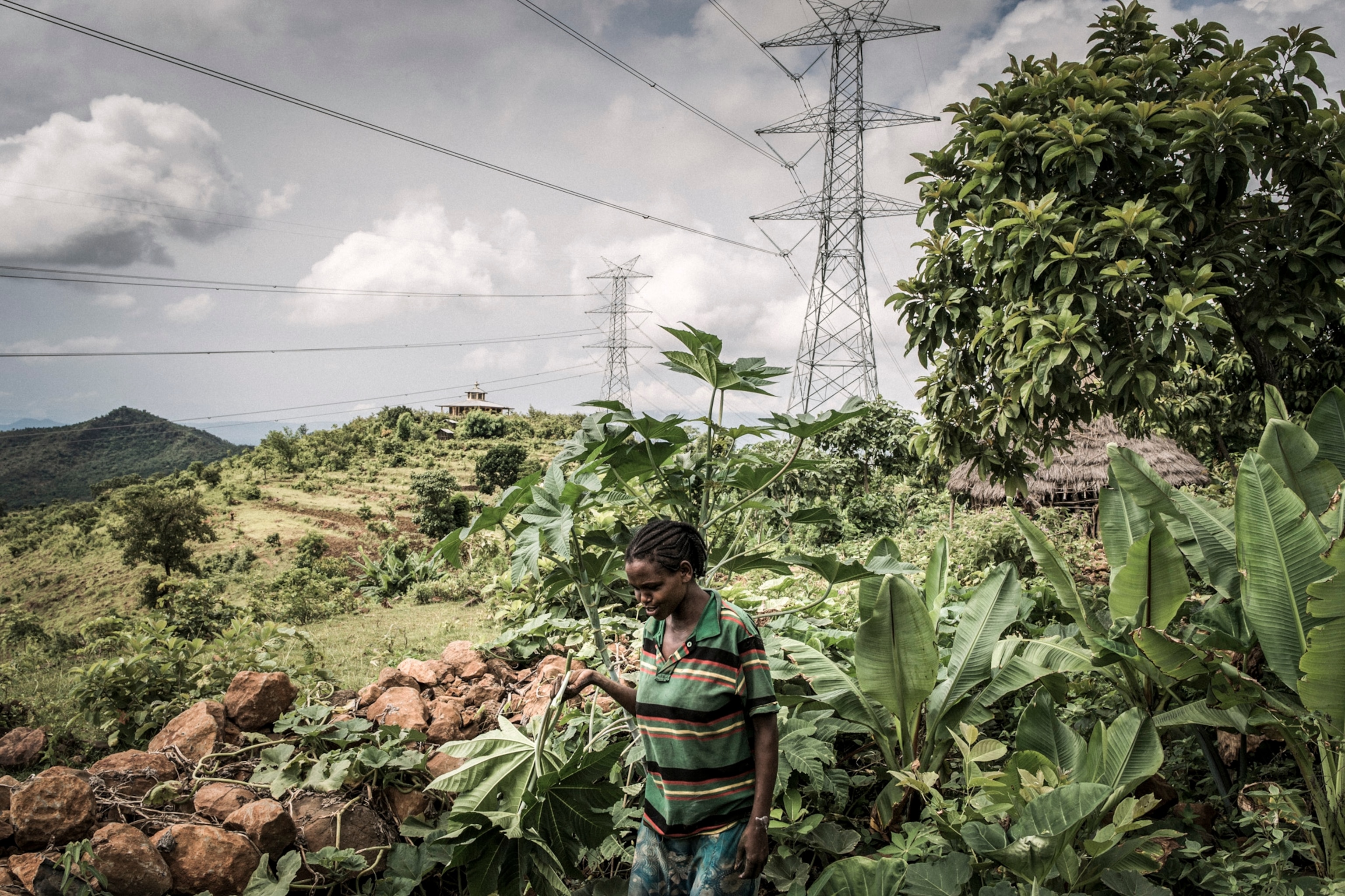 See Ethiopia's Massive Dam’s Impacts on Tribal Communities