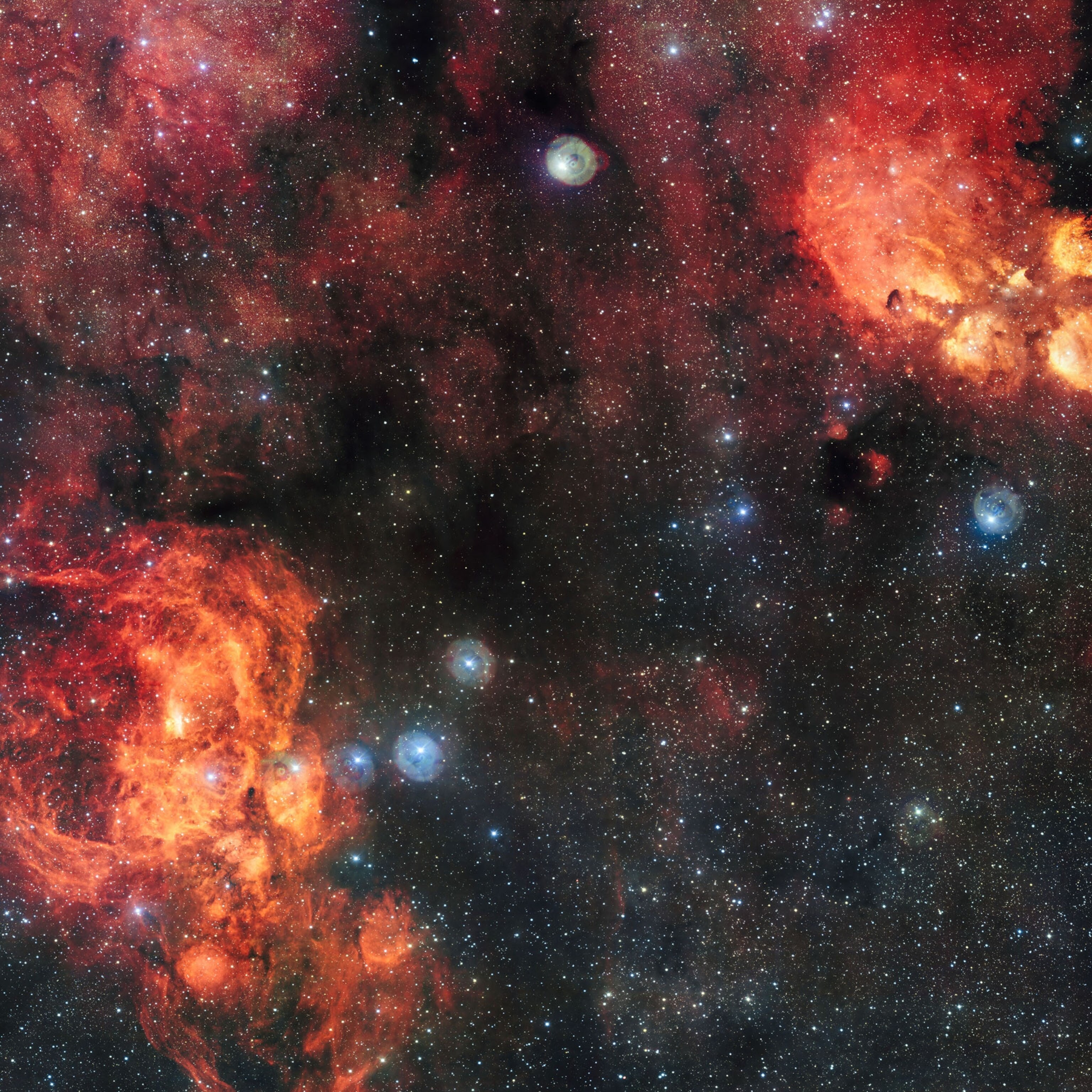 The Giant Squid Nebula and More Animals of the Cosmos