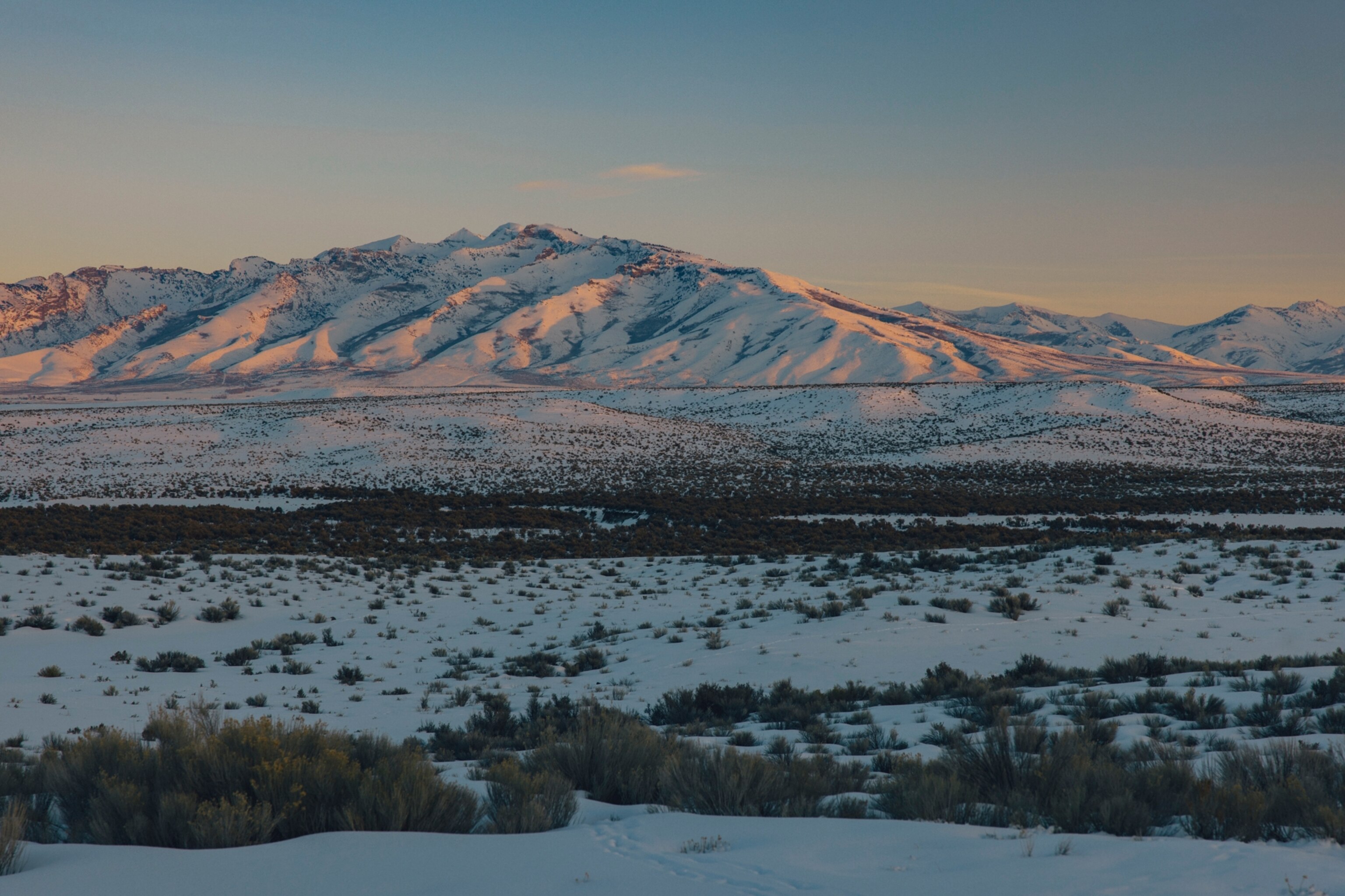 Every year the spirit of the American West is awakened in Nevada