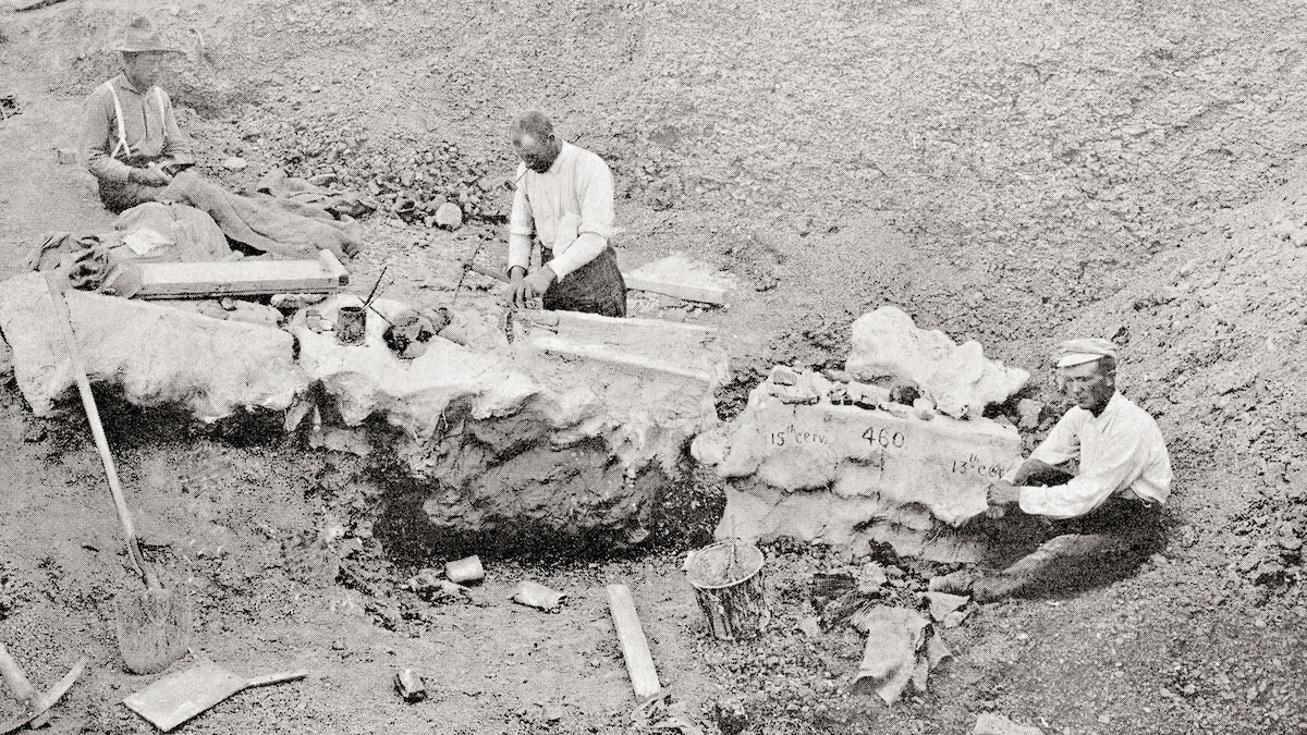 They were rock stars of paleontology—and their feud was legendary ...