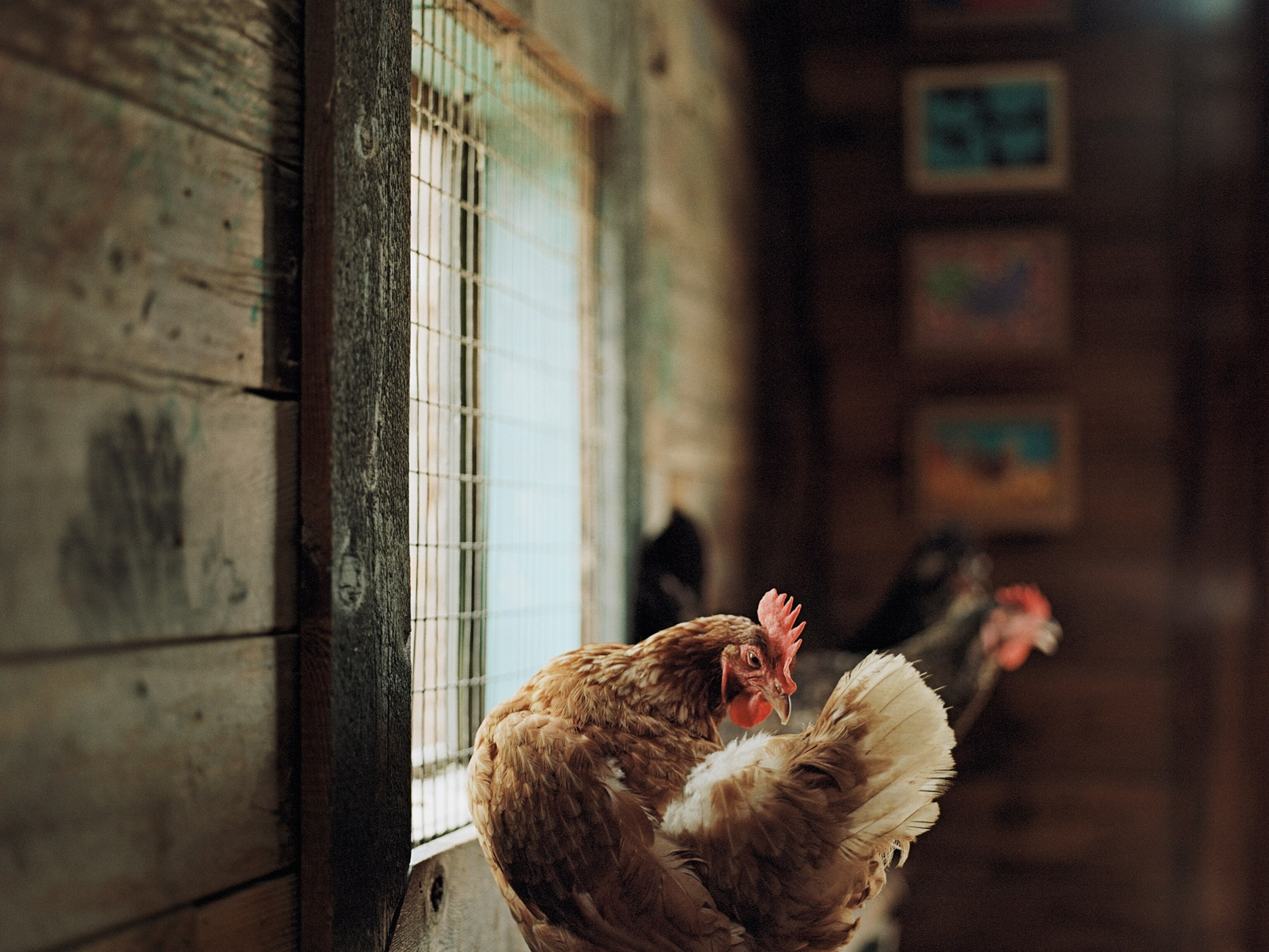 Surprising Ways to Solve Food Waste