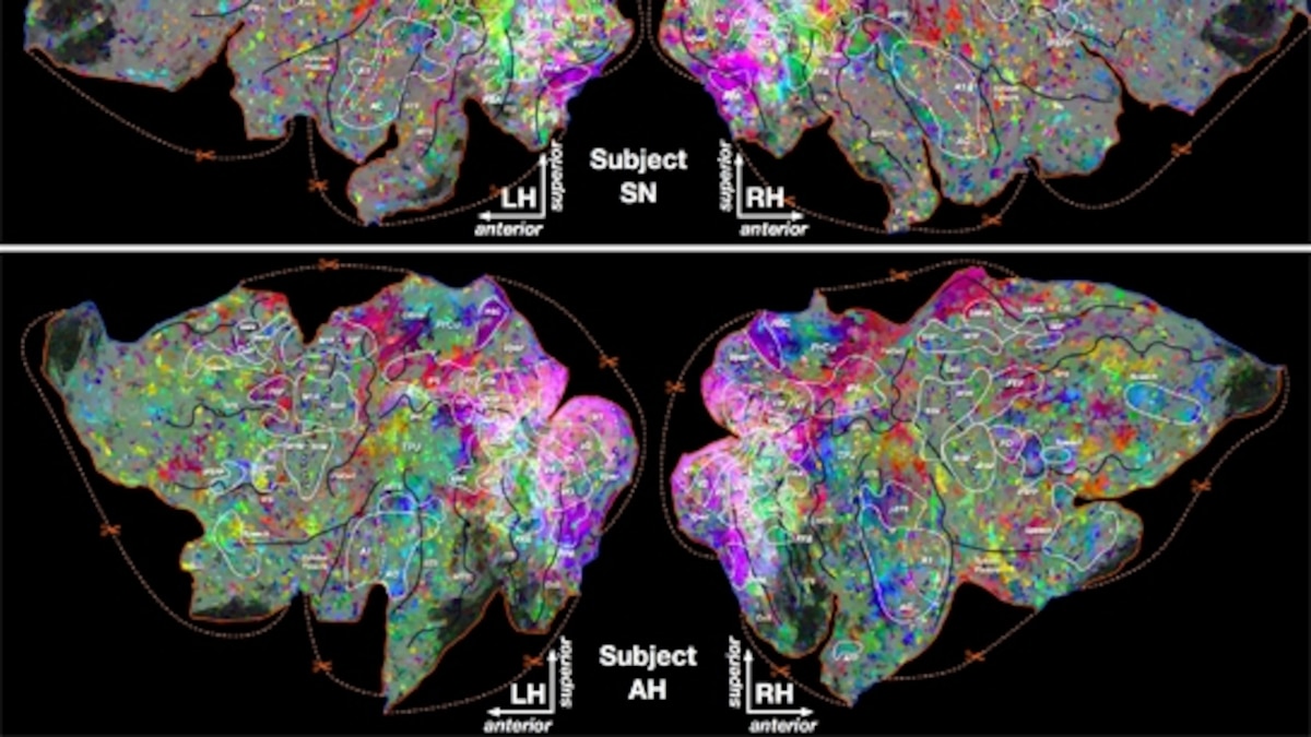 The Where of What: How Brains Represent Thousands of Objects | National ...
