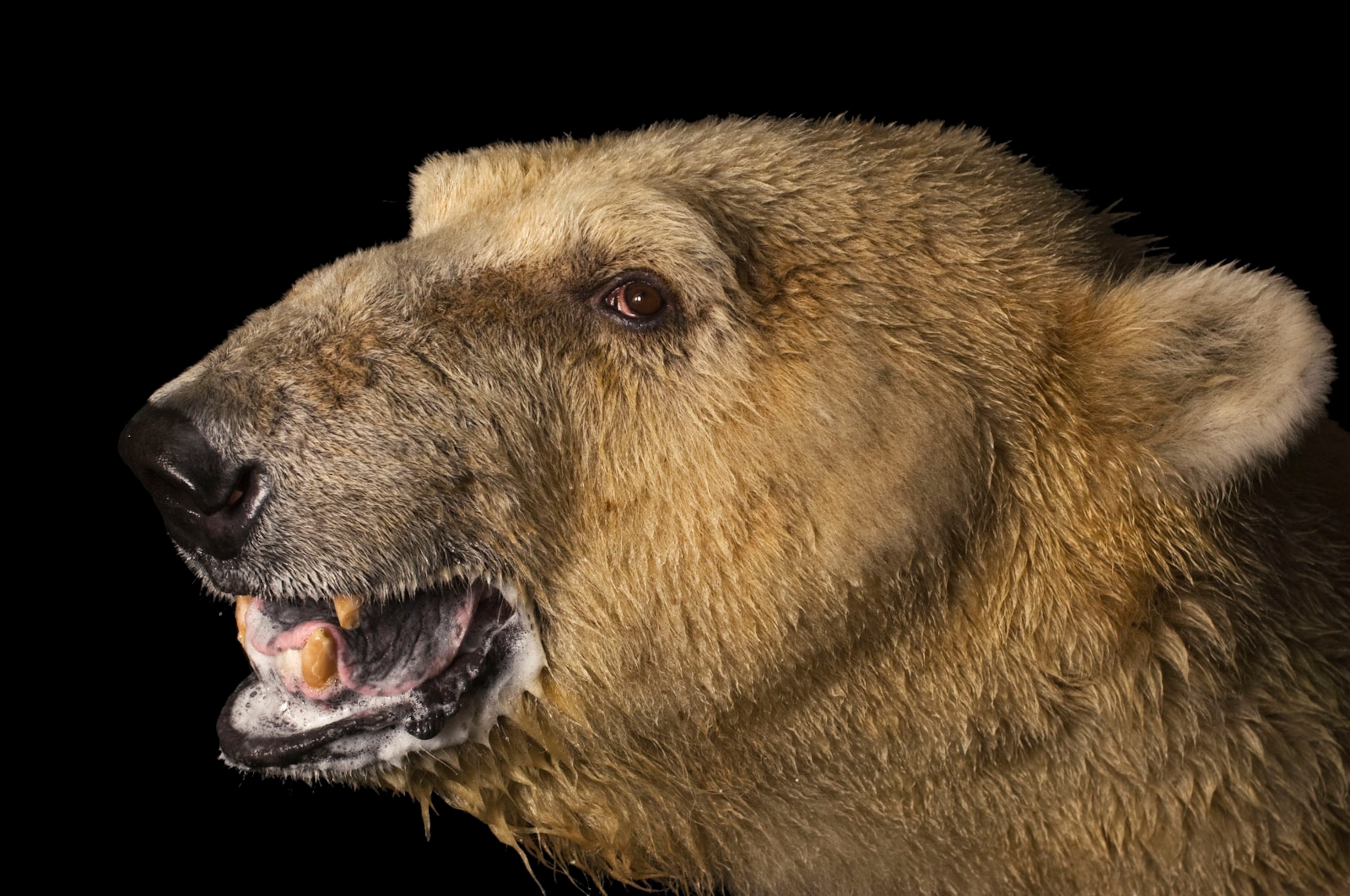 Last One | National Geographic