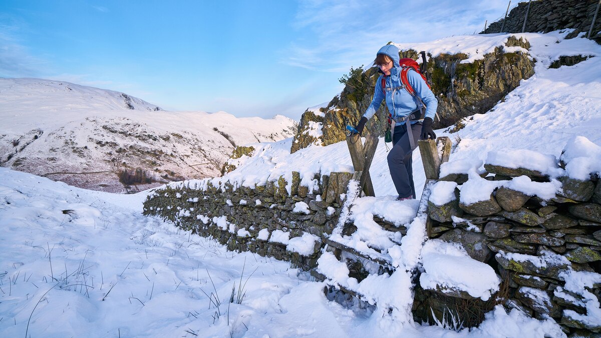 Chelsey Cook - Journalist Profile - Intelligent Relations