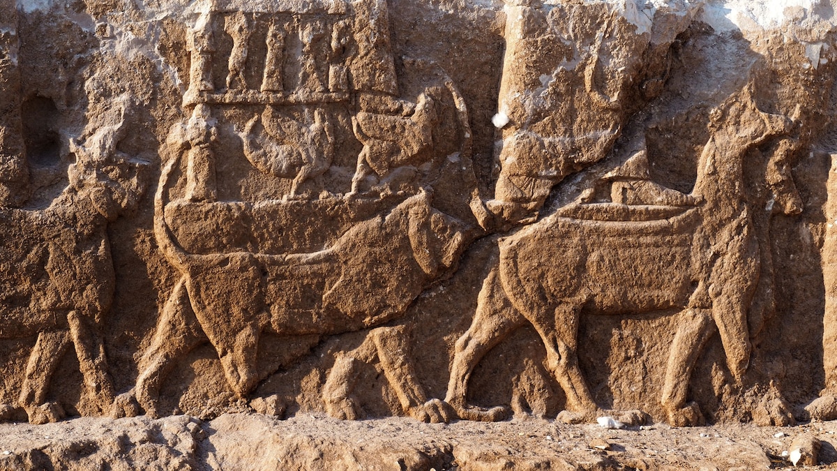 'Extremely rare’ Assyrian carvings discovered in Iraq | National Geographic