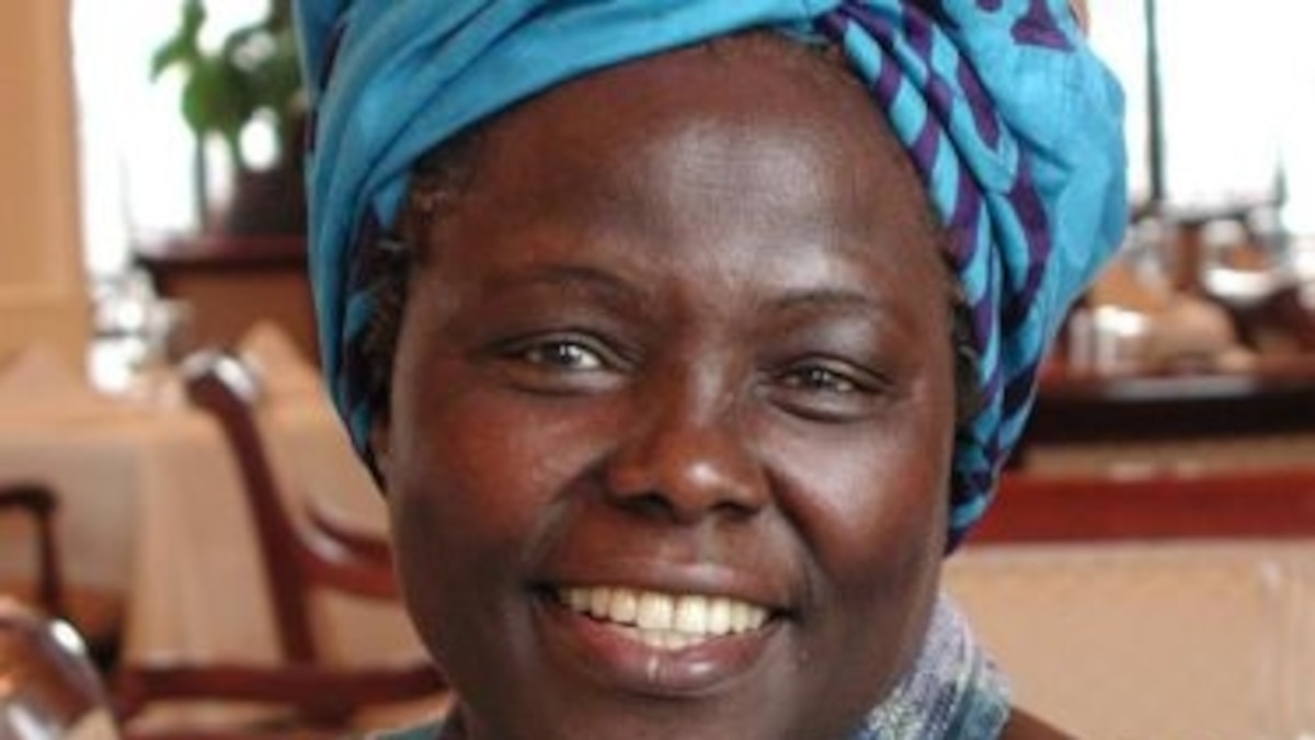 Wangari Muta Maathai: A Life of Firsts | National Geographic