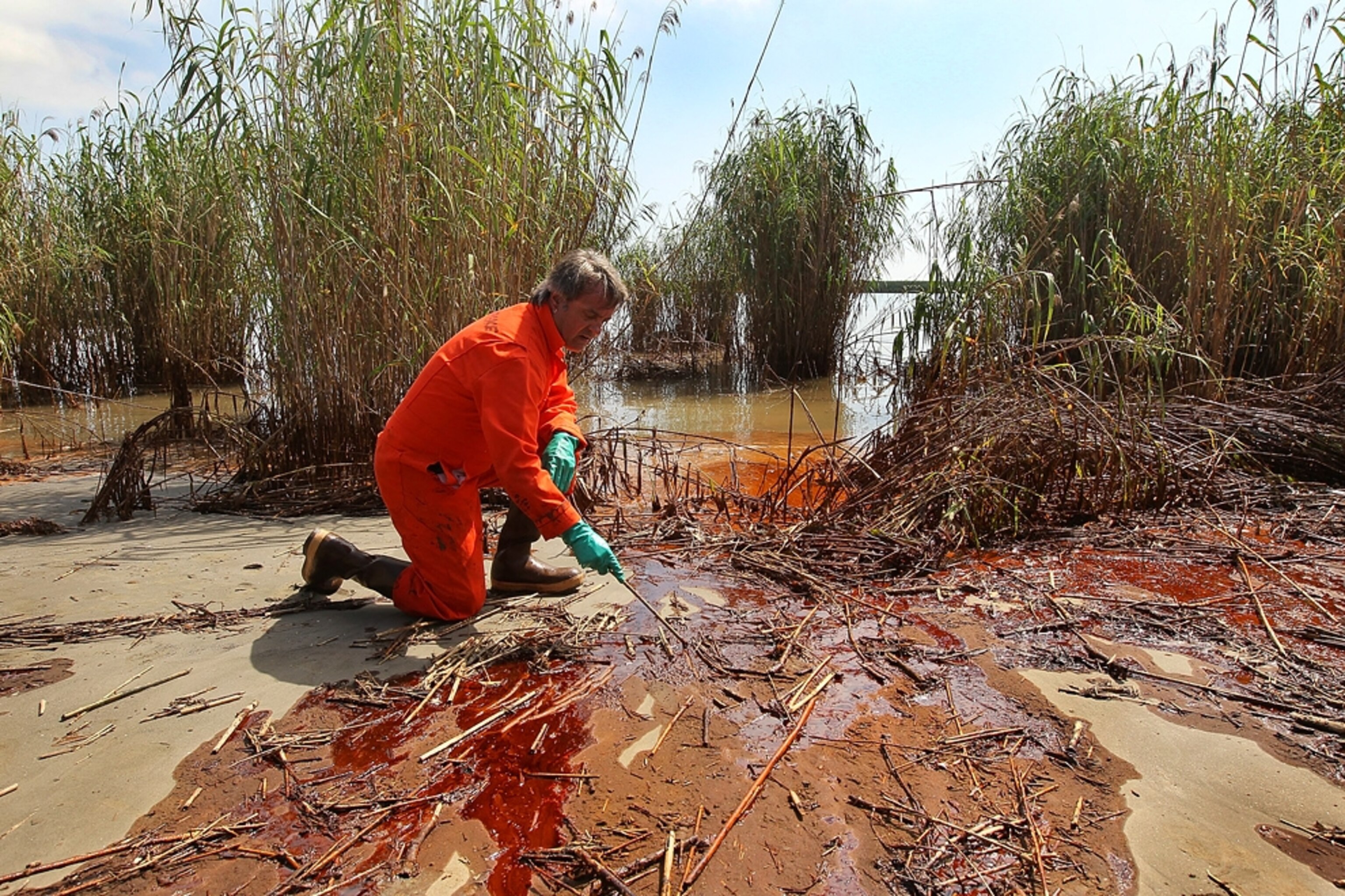 Pictures: Heavy Oil Seeping Into Louisiana Marshes