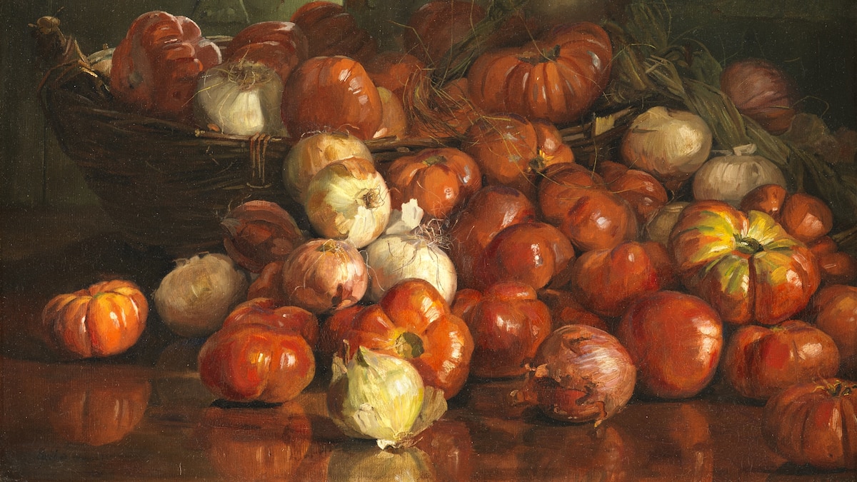 Sinful. Poisonous. Stinky? How tomatoes overcame their wicked ...