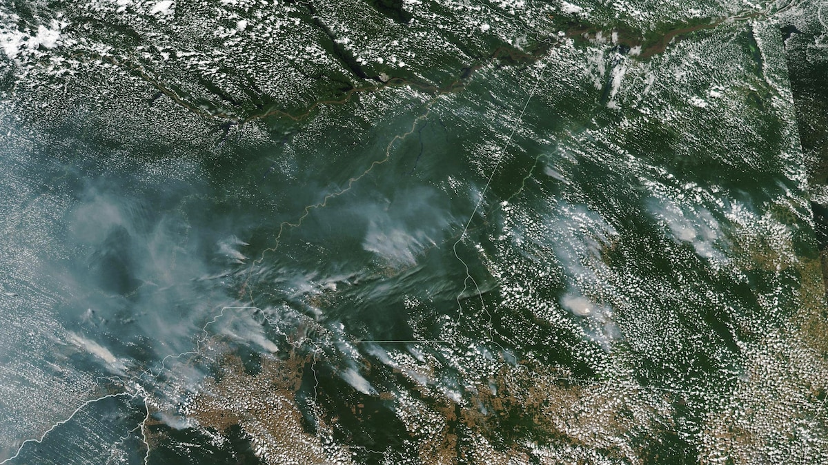 Brazil’s Amazon is burning in historic wildfires—and deforestation is ...