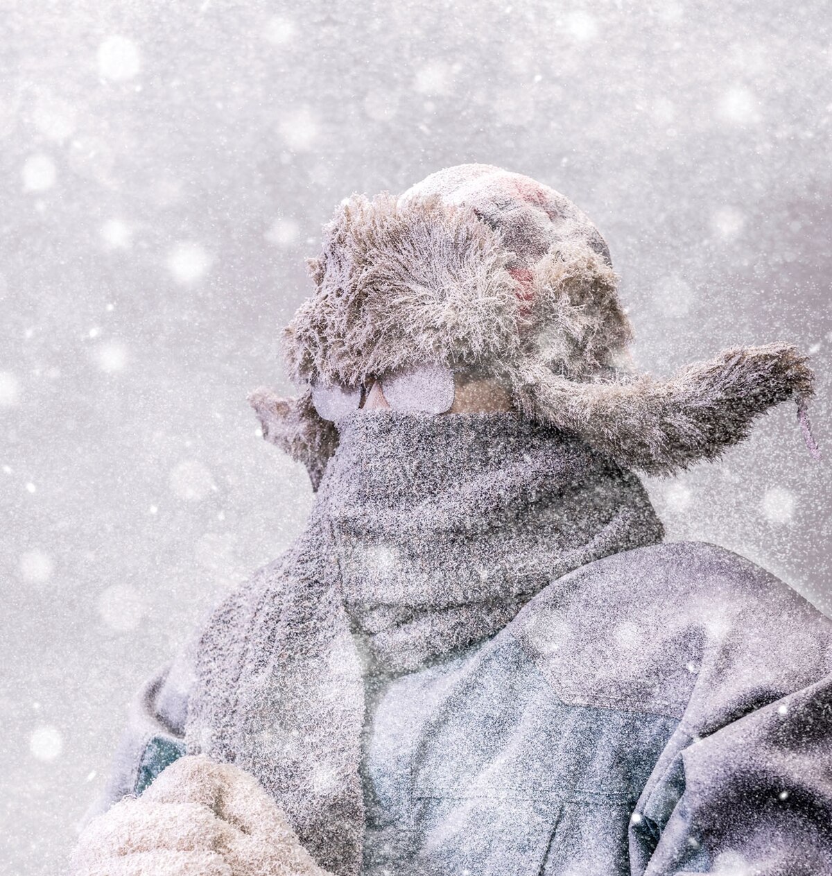 ‘It’s cool to be cold’: Confessions of frigid-weather fanatics