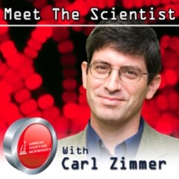 The Protein Universe