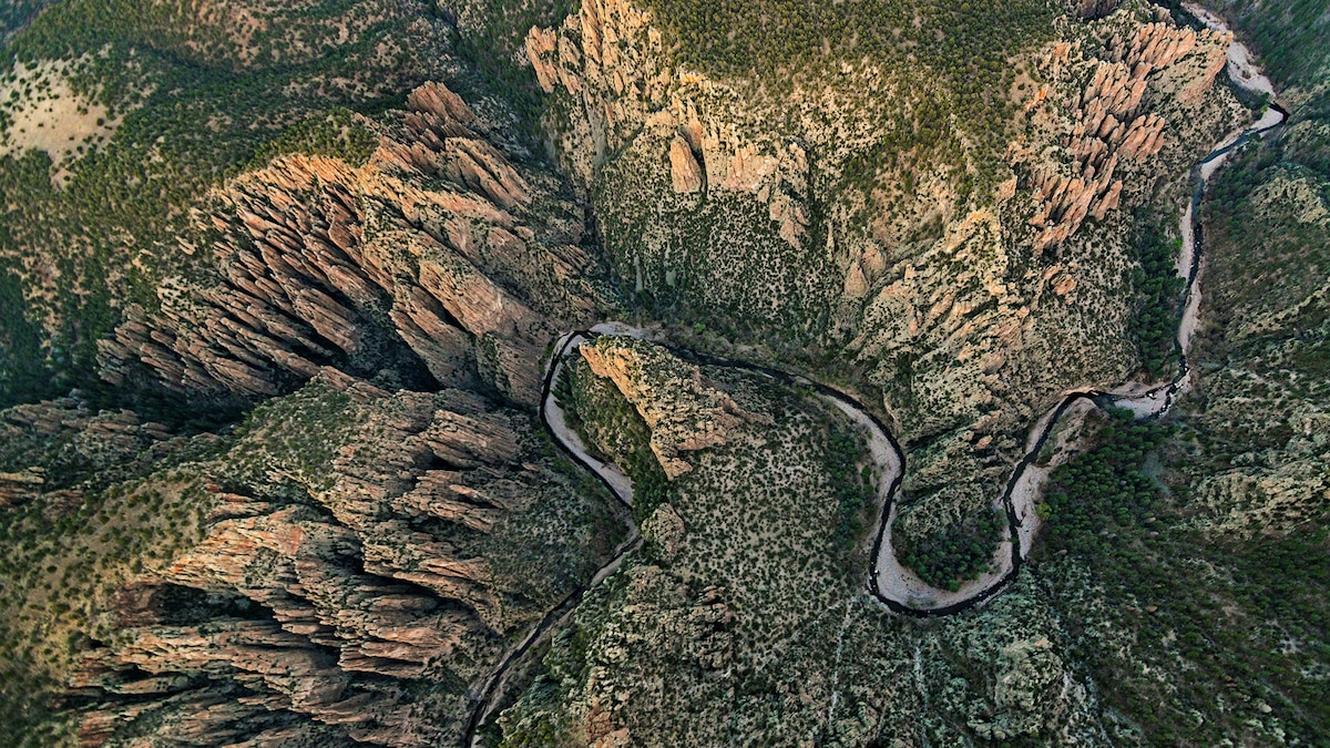 National Geographic Wins UN's Top Environmental Award | National Geographic