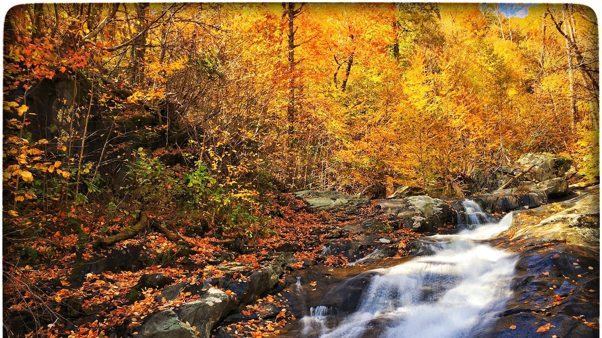 Exploring Fall Colors With Your iPhone | National Geographic