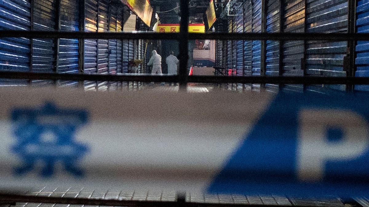 The WHO is hunting for the coronavirus’s origins. Here are the new ...