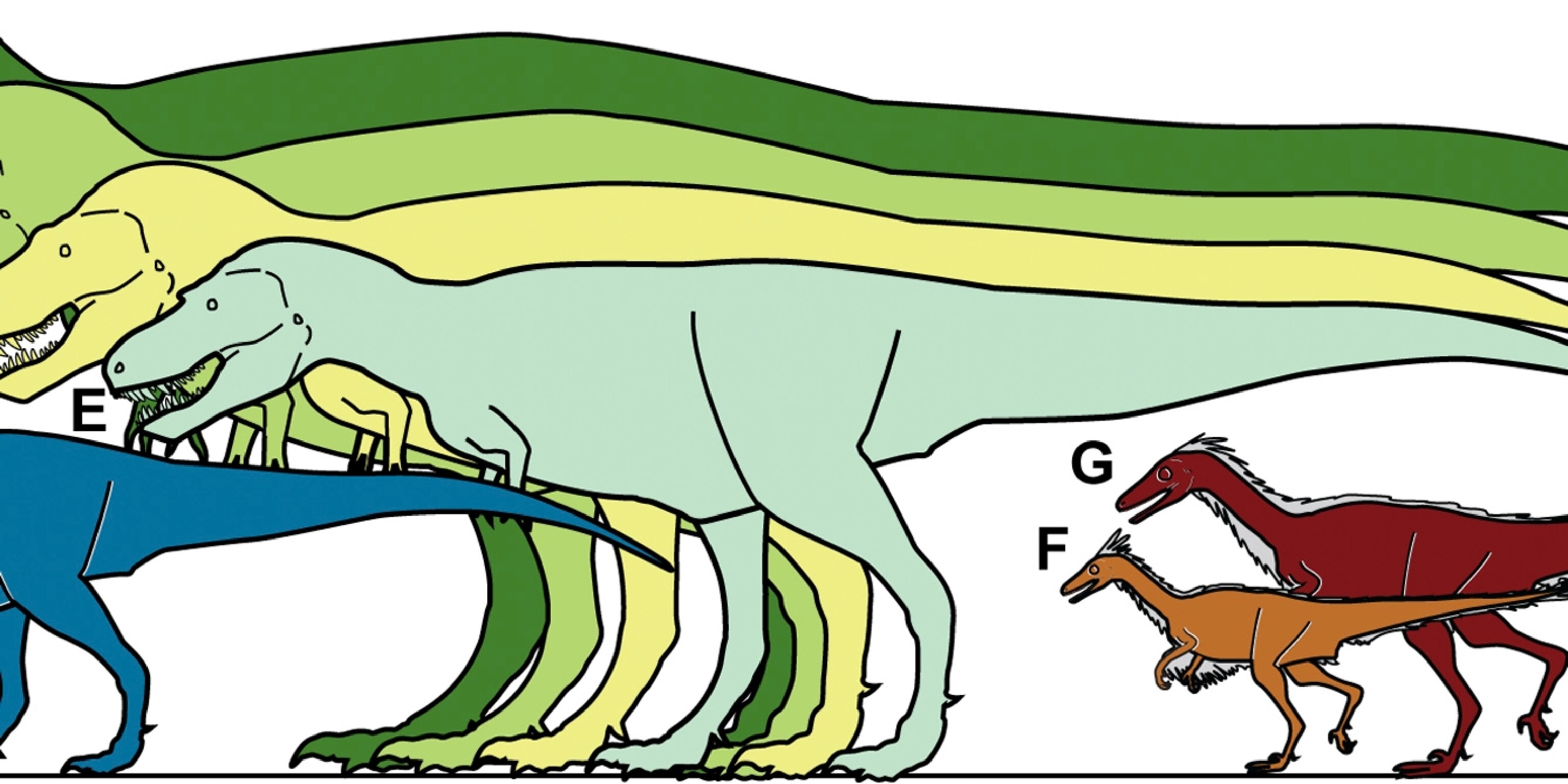 New Pygmy Tyrannosaur Found, Roamed the Arctic