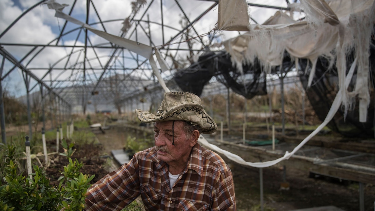 See the Faces of Those Affected by Hurricane Maria’s Destruction ...