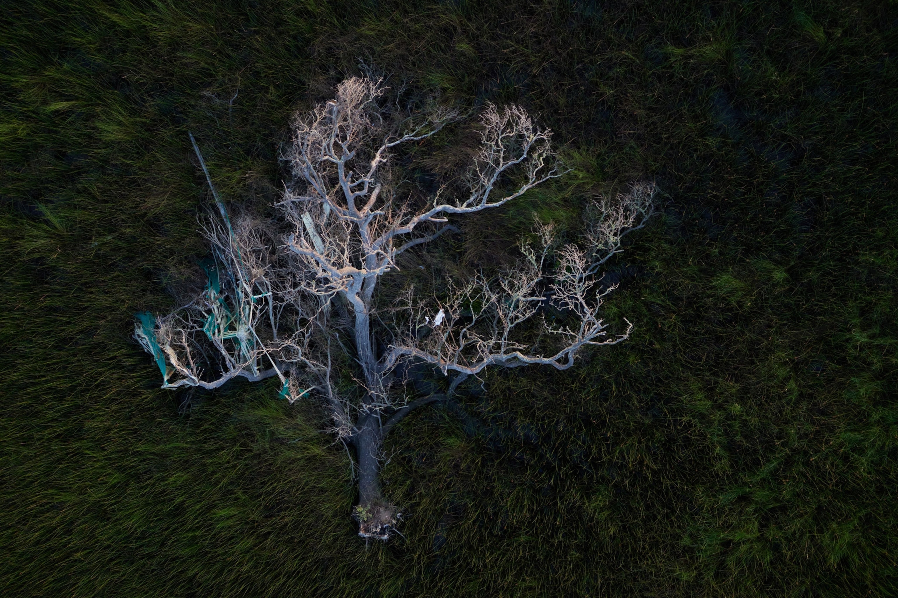 No state is losing land like Louisiana—but no other state has a bolder plan