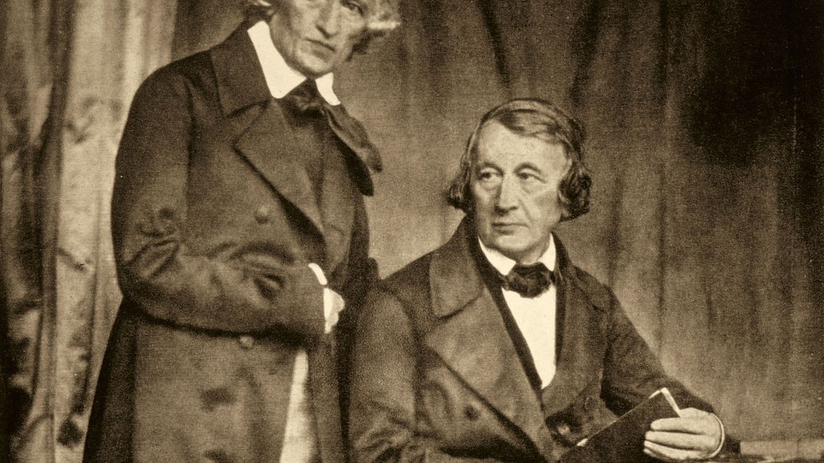The Brothers Grimm fairy tales had unexpected origins | National Geographic