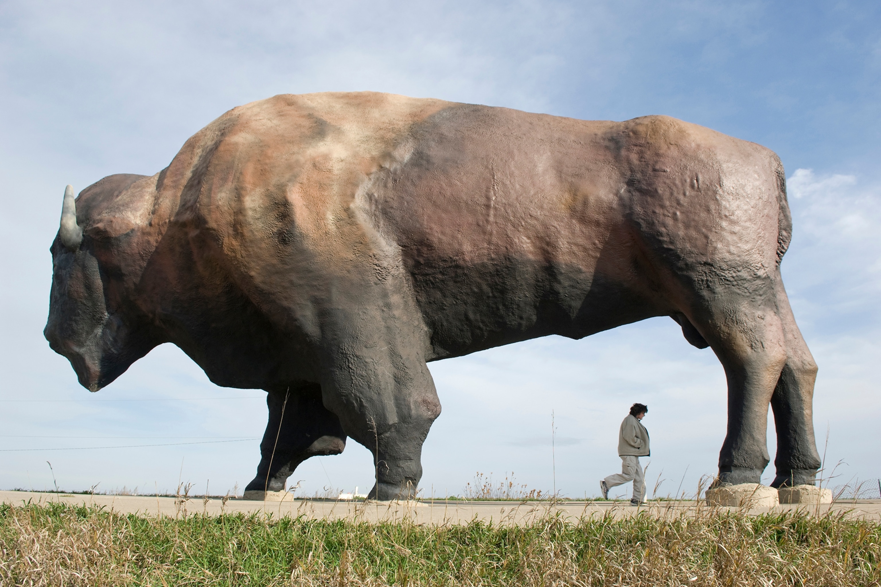 American Symbol: National Geographic's Best Bison Pictures