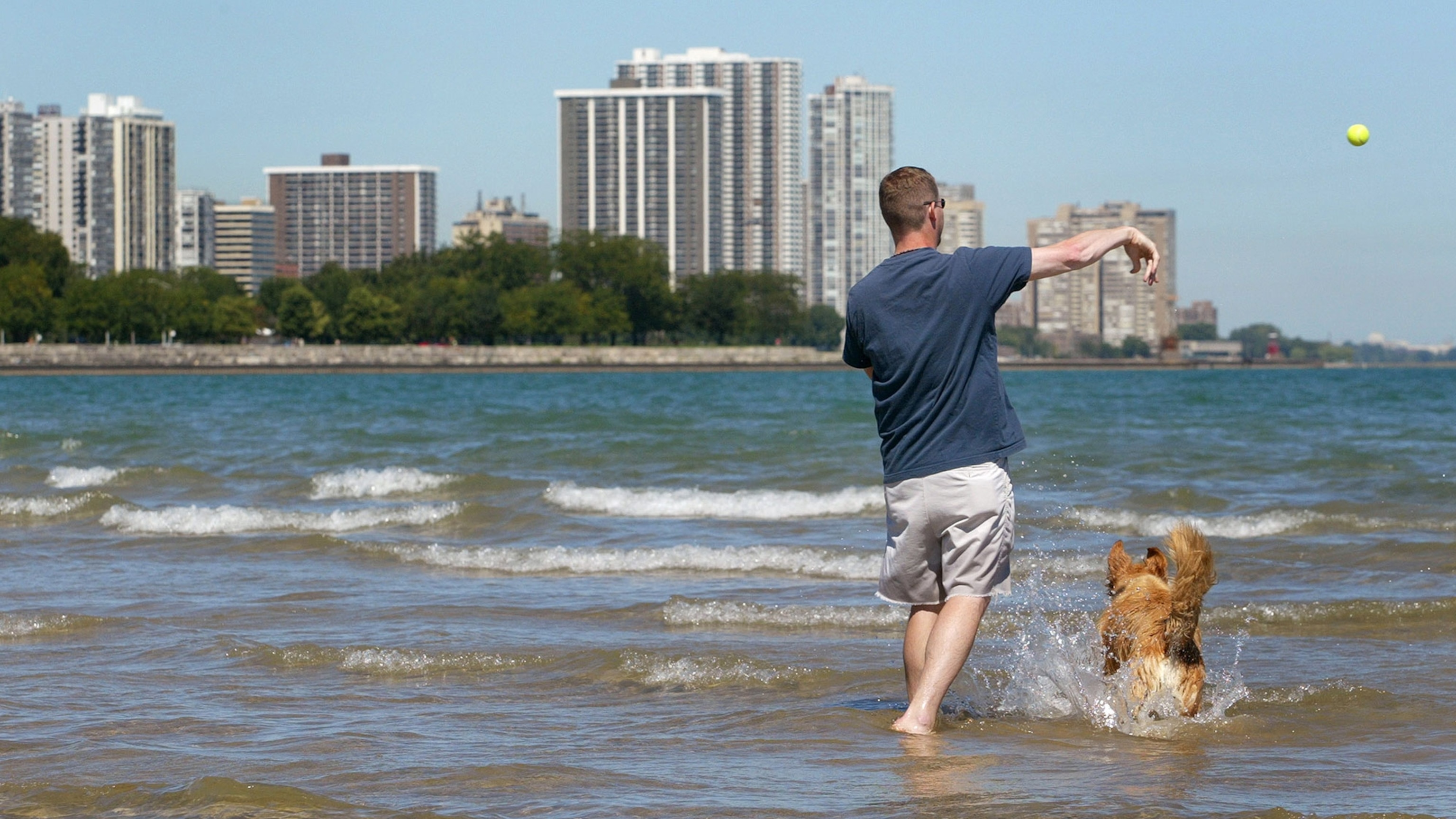 Pet-friendly Locations to Travel with Your Dog