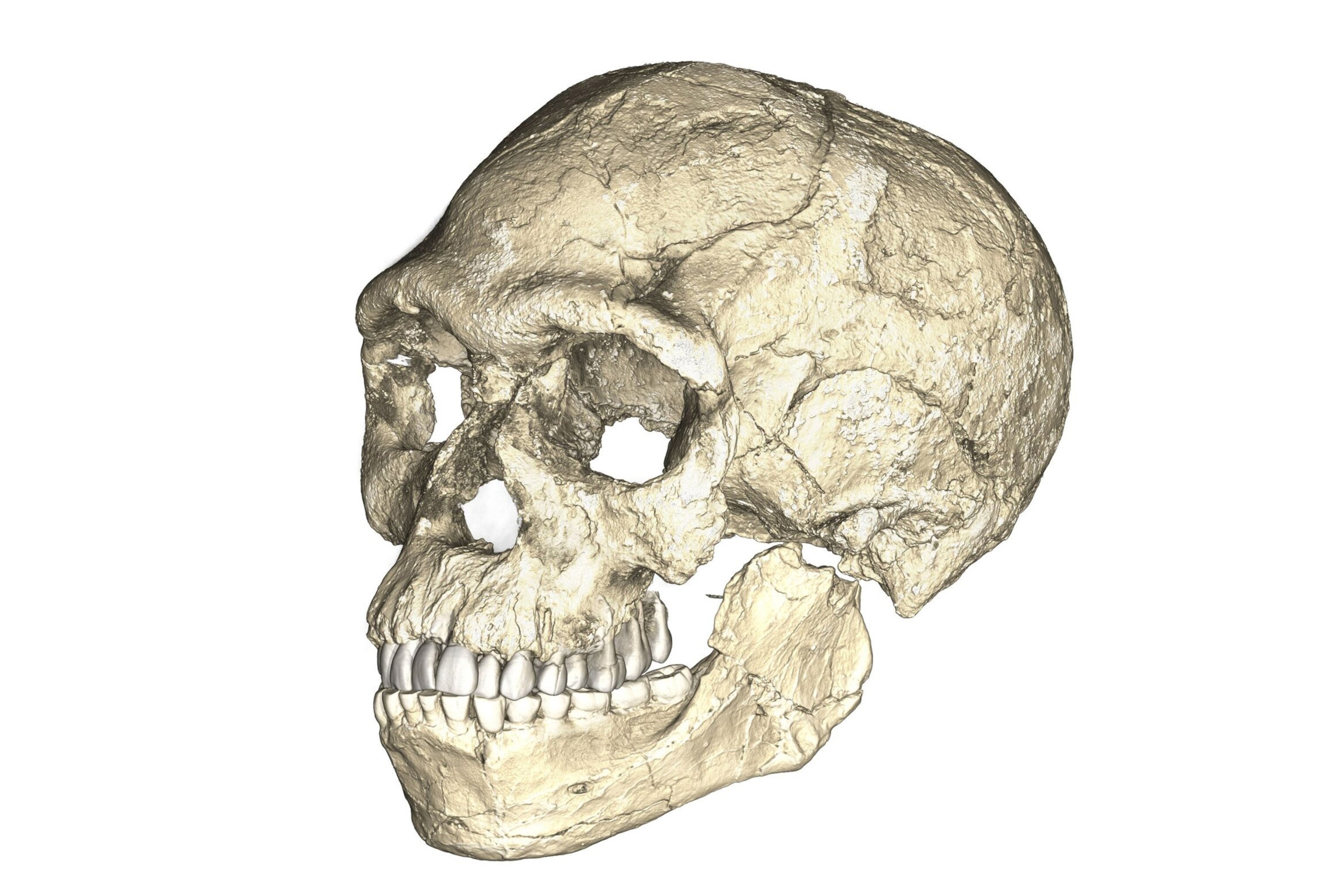 These Early Humans Lived 300,000 Years Ago—But Had Modern Faces