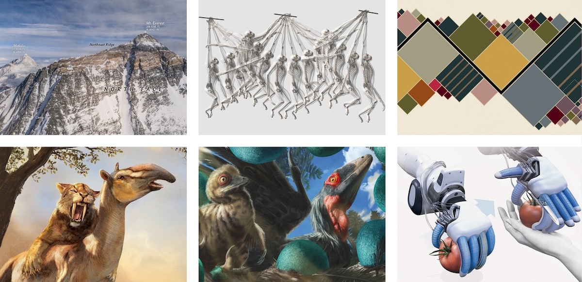 The maps and graphics of 2020's events and discoveries | National ...