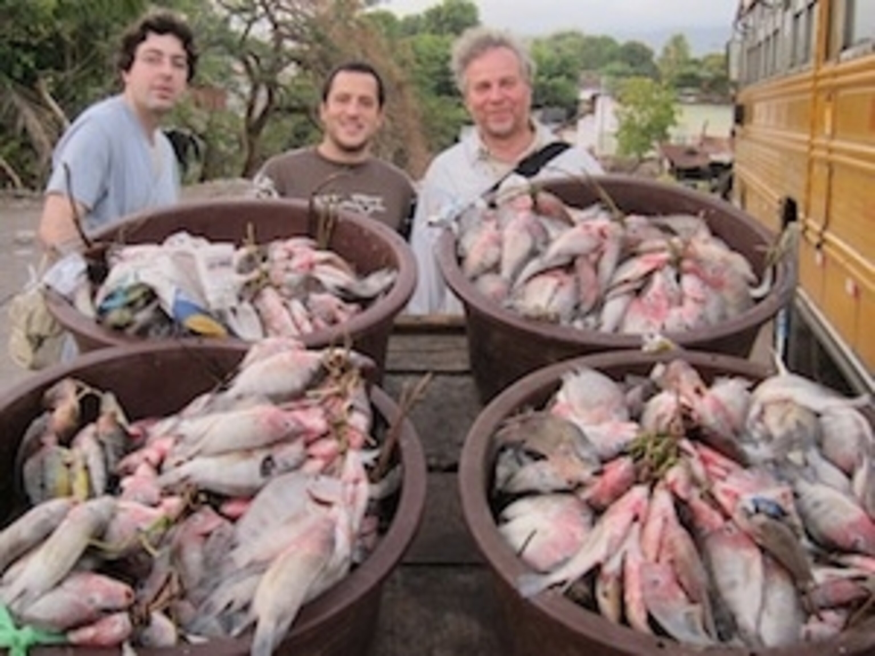 The Angelina Jolie Project