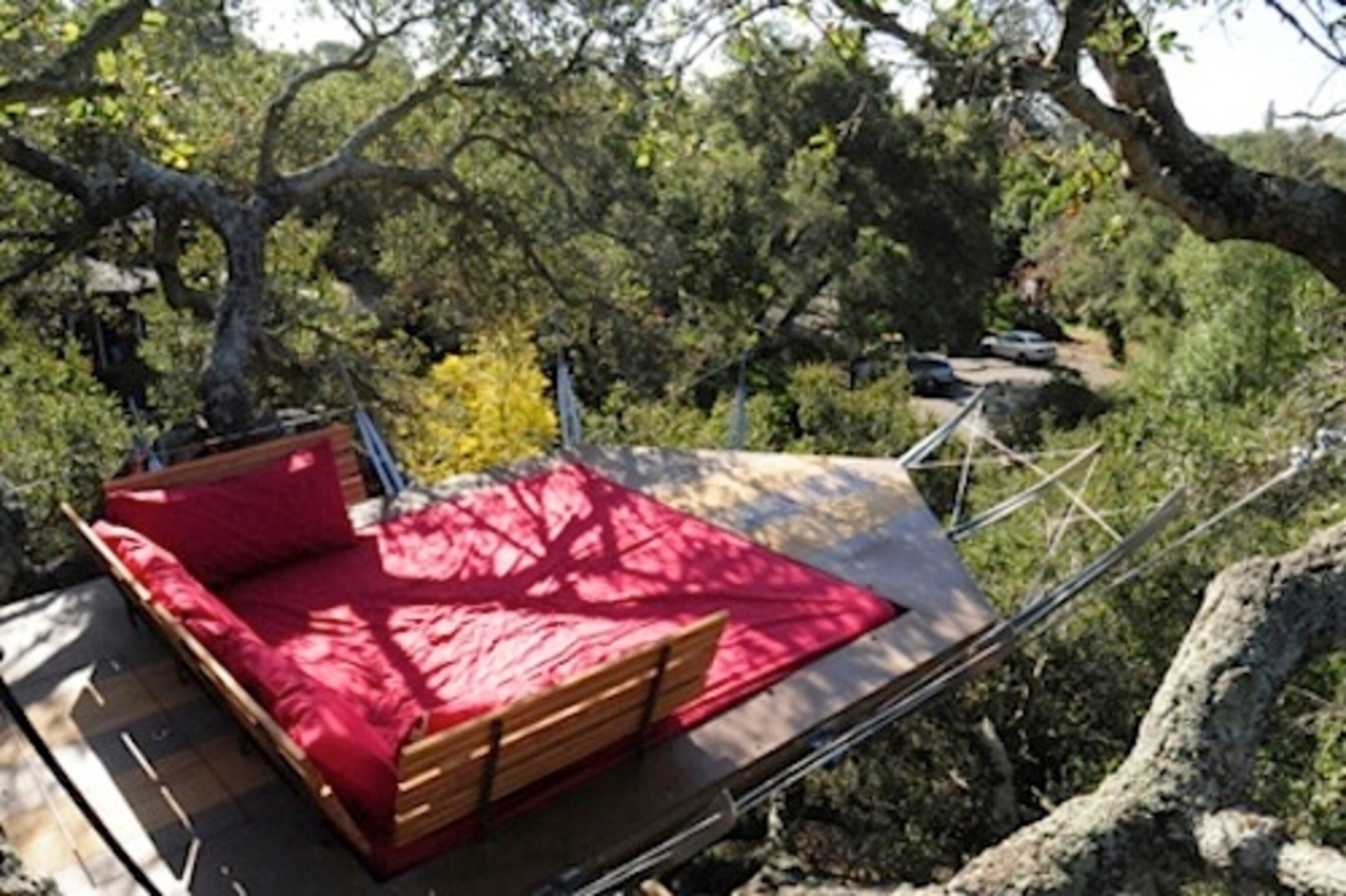 A Tree Lounge To Connect with Nature, 40 Feet Up