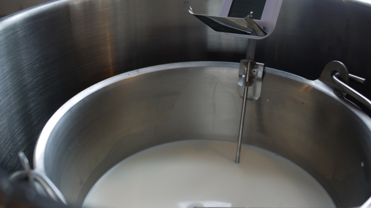 Did You Know? Weird Facts About Milk | National Geographic