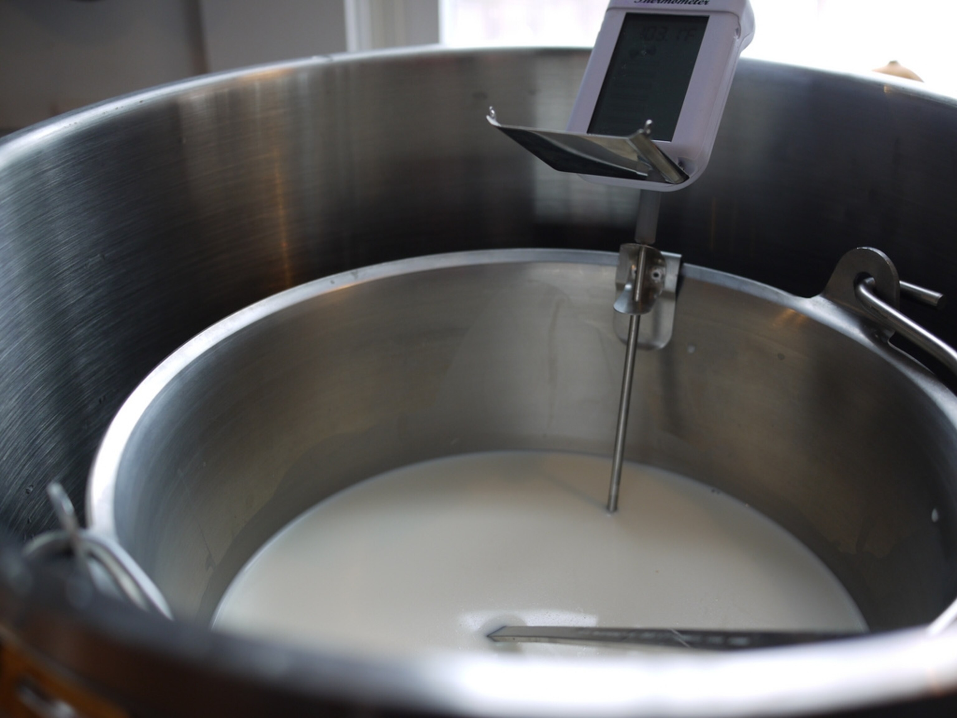 Did You Know? Weird Facts About Milk