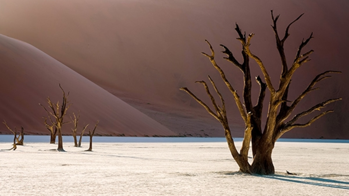 Namibia’s Landscape Safari | National Geographic