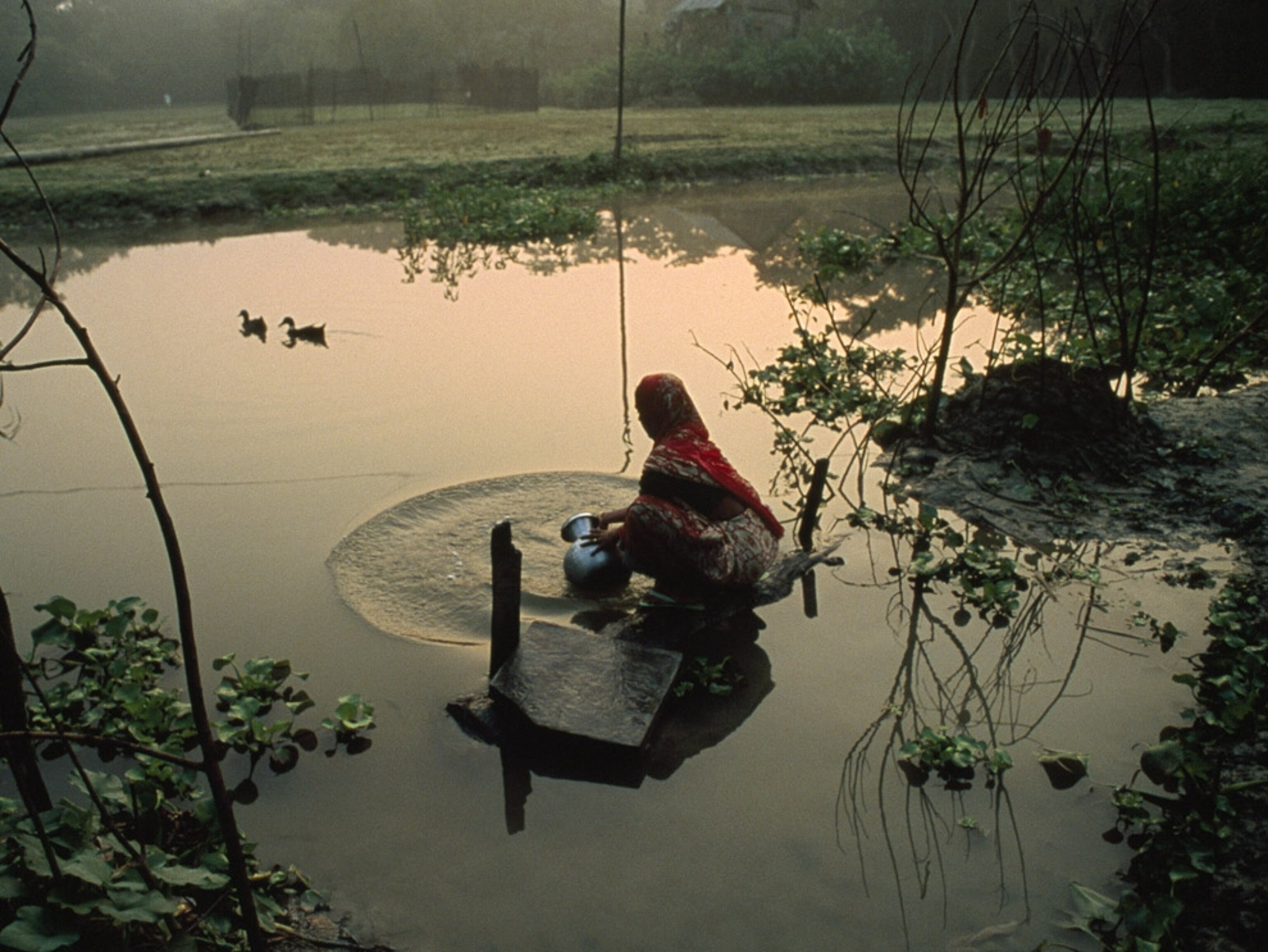 Drinking Water Photos -- National Geographic