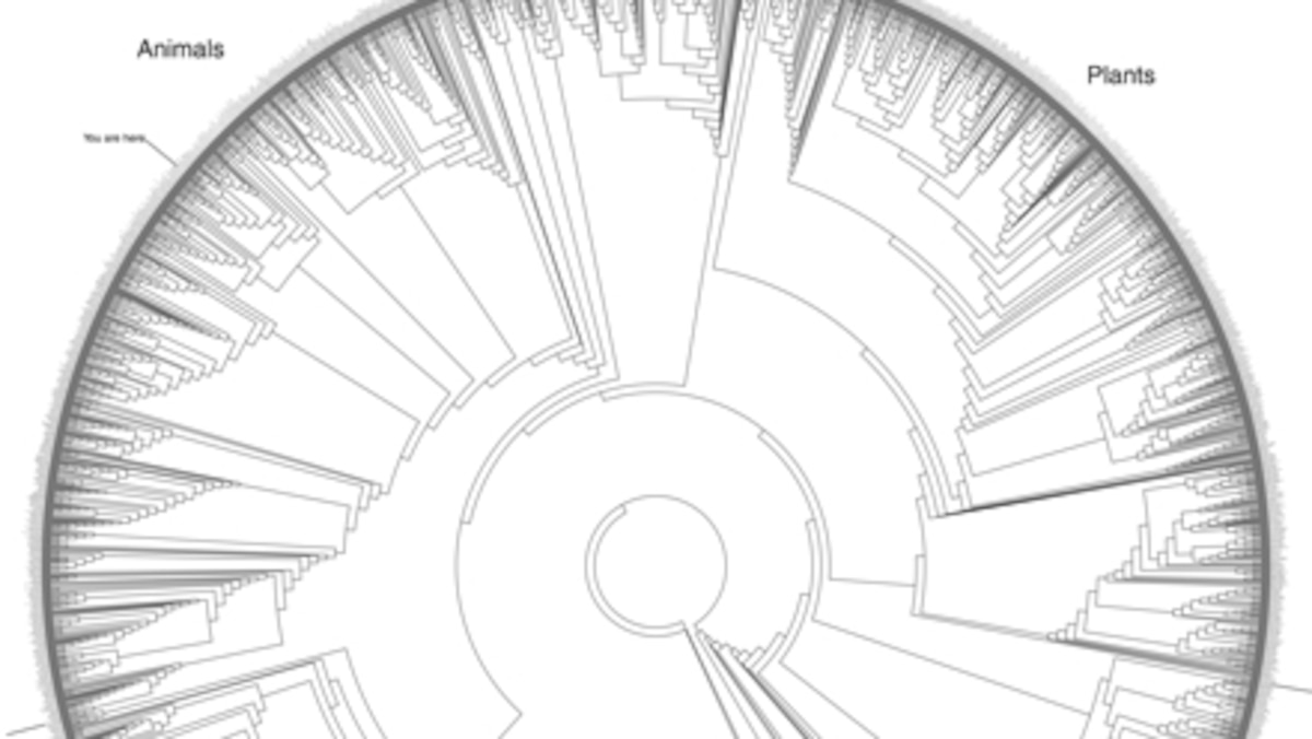 Google Earth for The Tree of Life