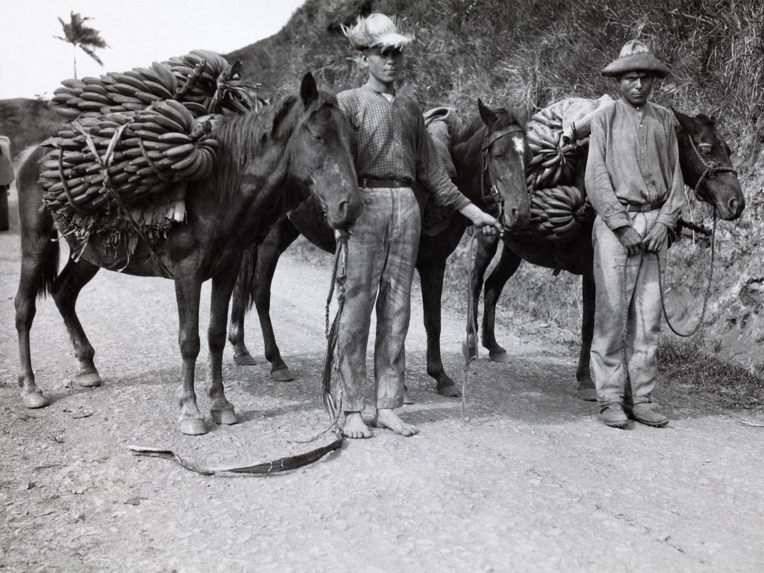 In Hurricane Maria S Aftermath Photos Show Puerto Rico 100 Years Ago