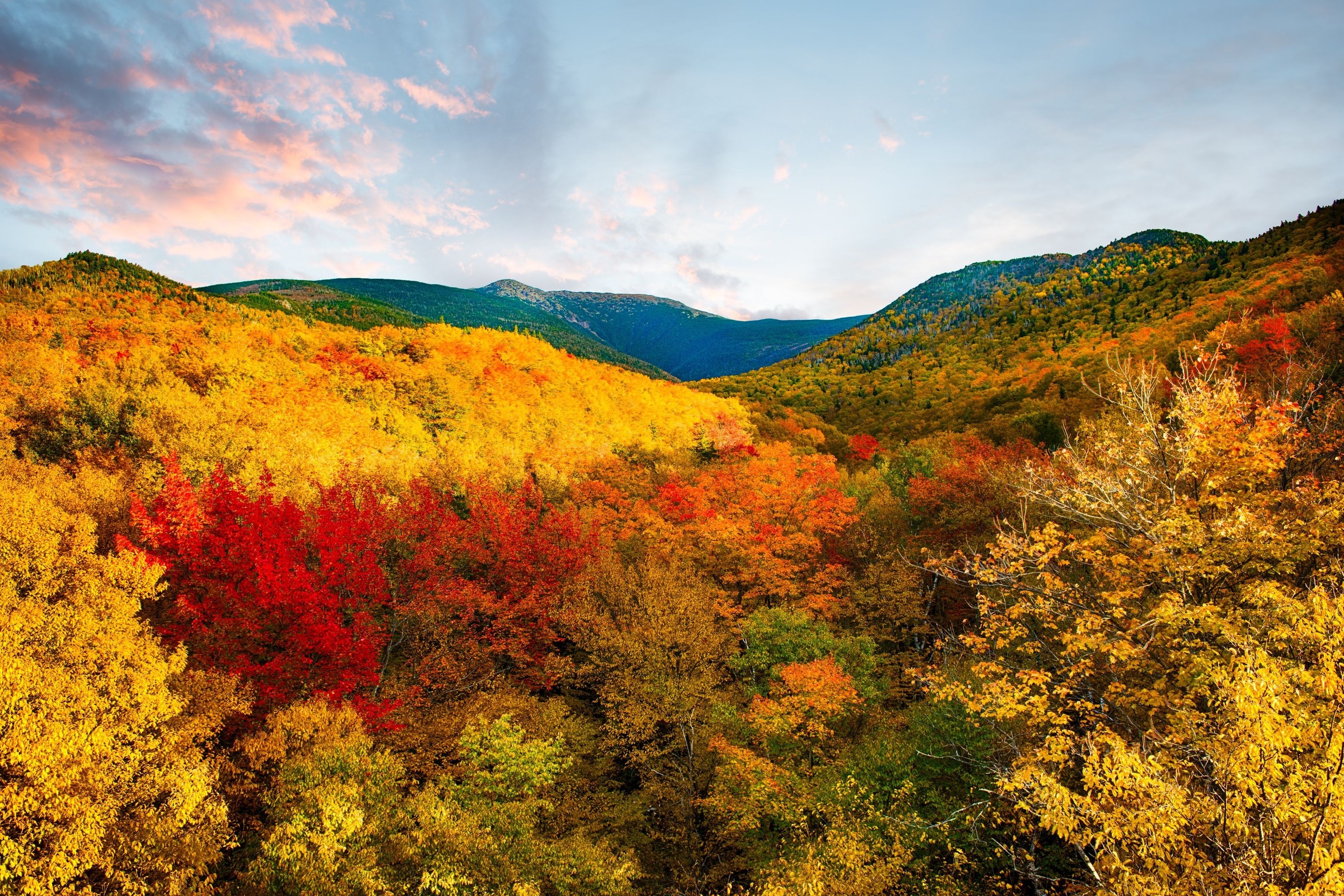 Your Fall Foliage Pictures