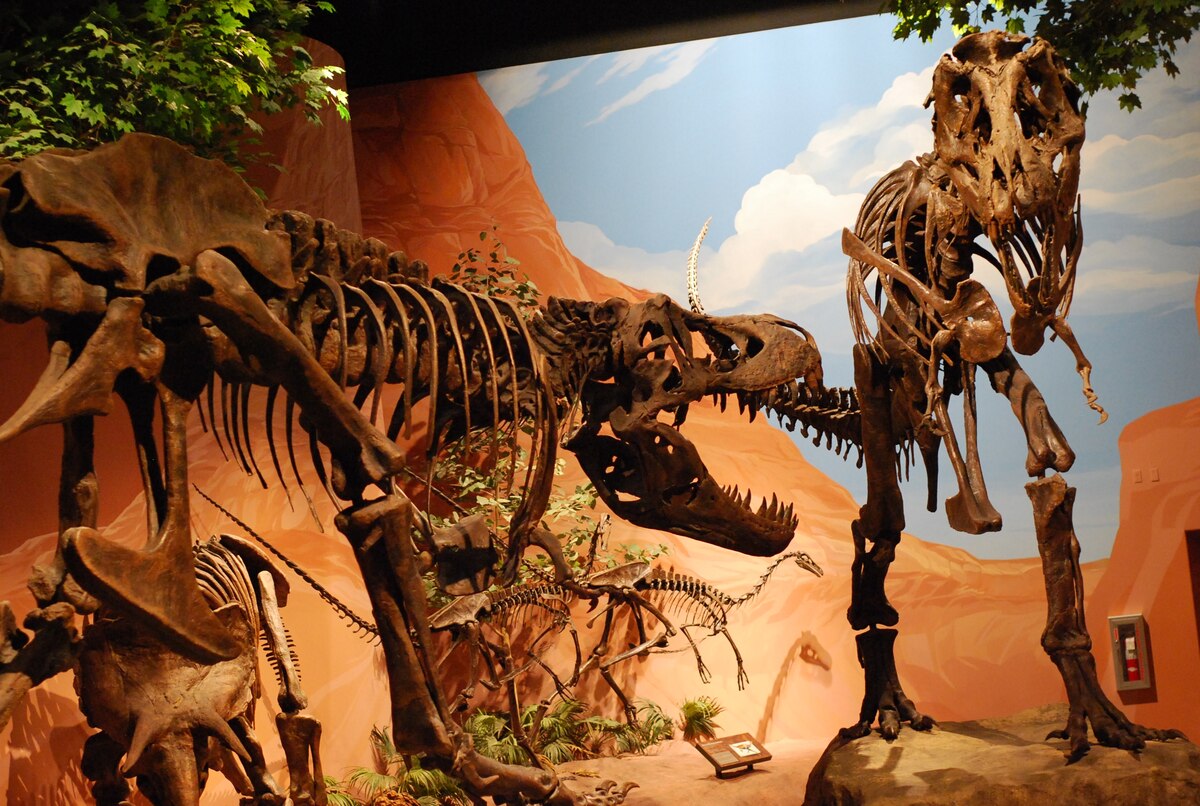 Time to Slay the T. rex Scavenger “Debate”