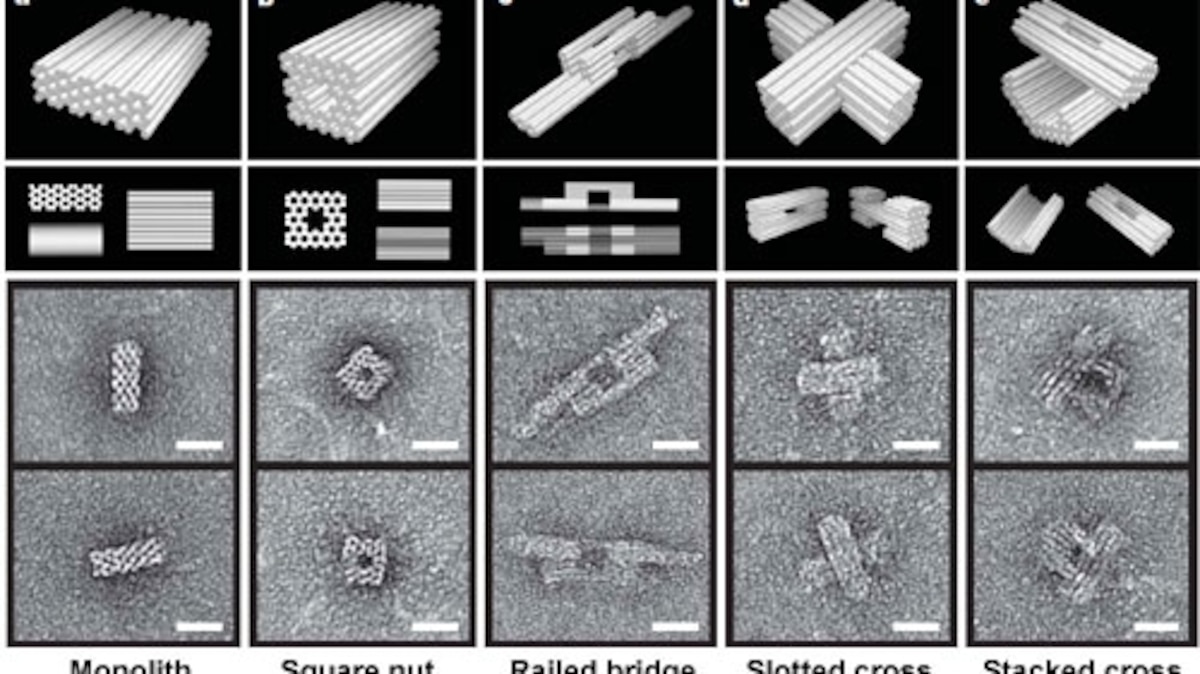 DNA sculpture and origami – a meeting of art and nanotechnology ...