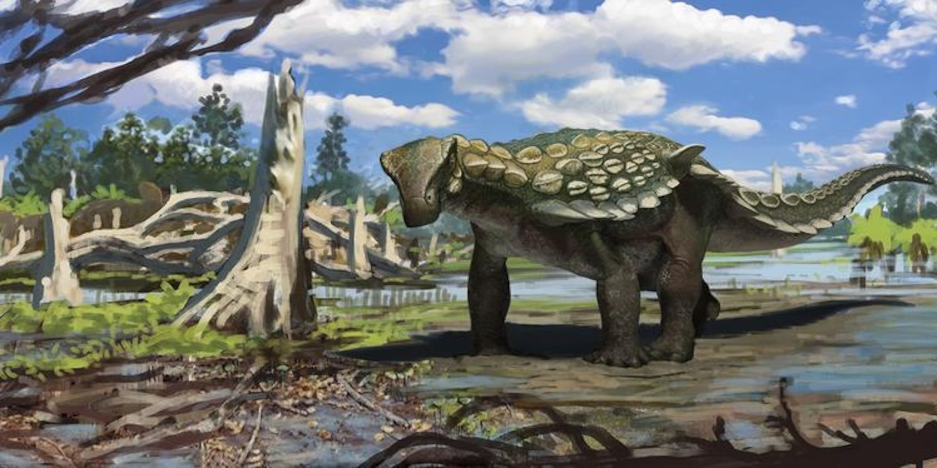 Europe’s Shield, From the Coal