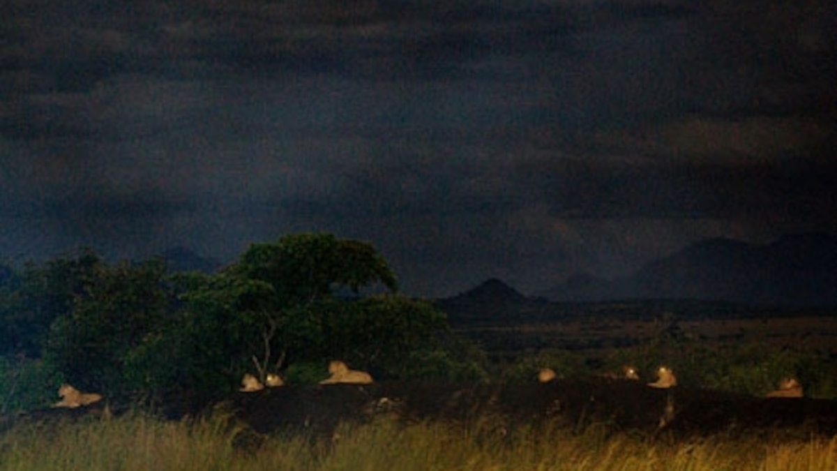 Cartography 2.0: Volunteers Help Map Africa as Never Before | National ...