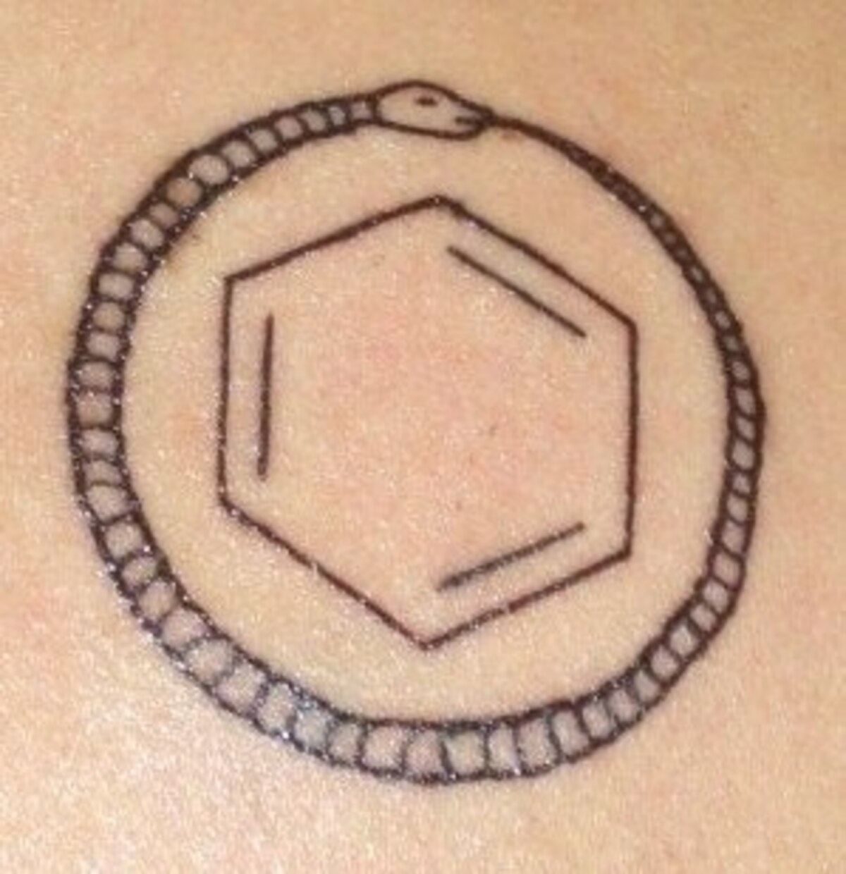 The Snake And The Ring [Science Tattoo]
